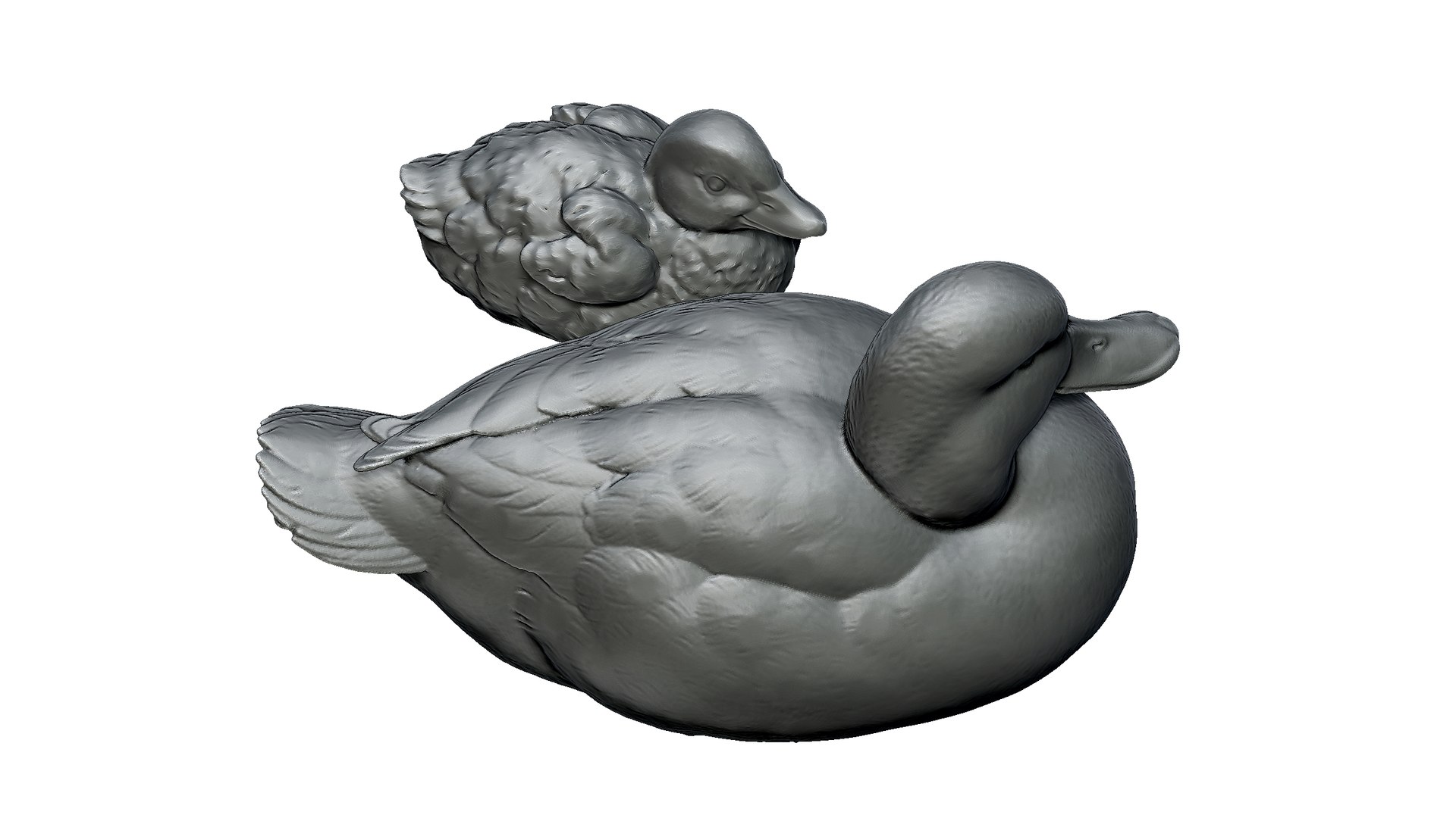 3D Duckling Duck 3D Print Model - TurboSquid 2283118