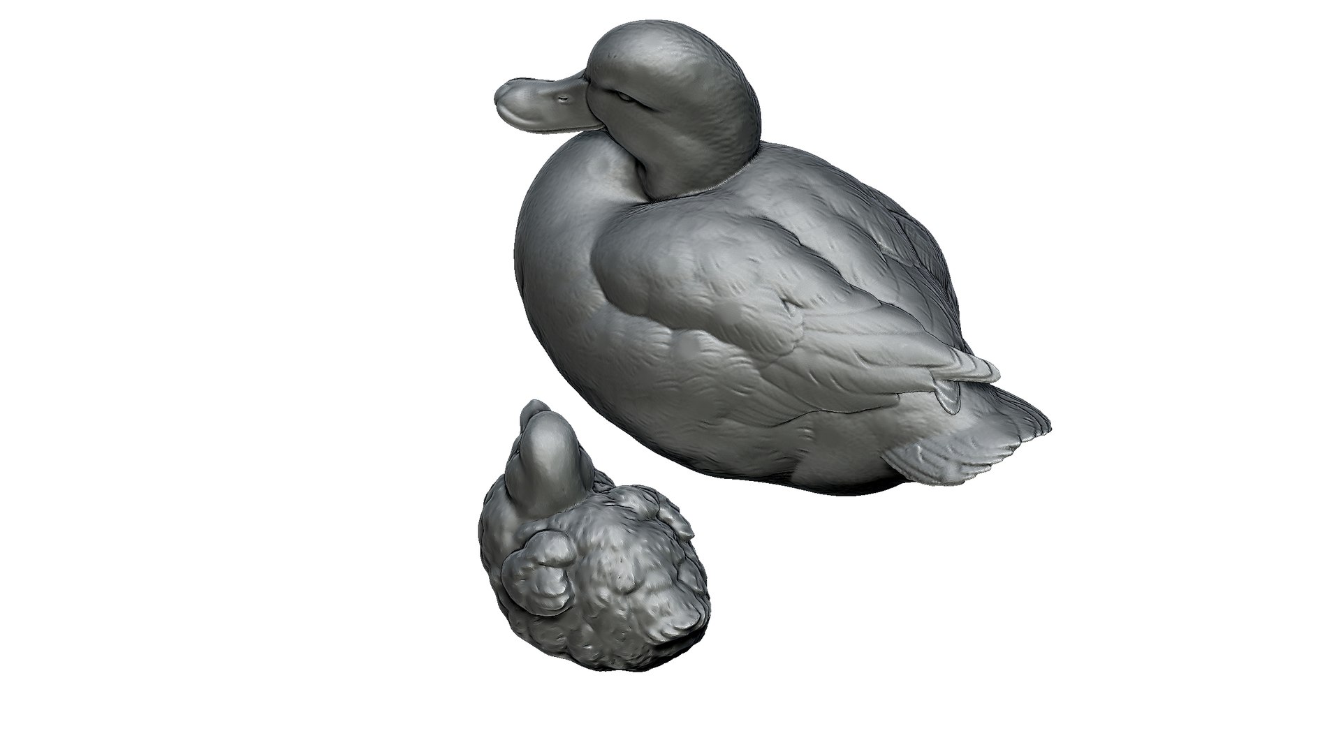 3D Duckling Duck 3D Print Model - TurboSquid 2283118