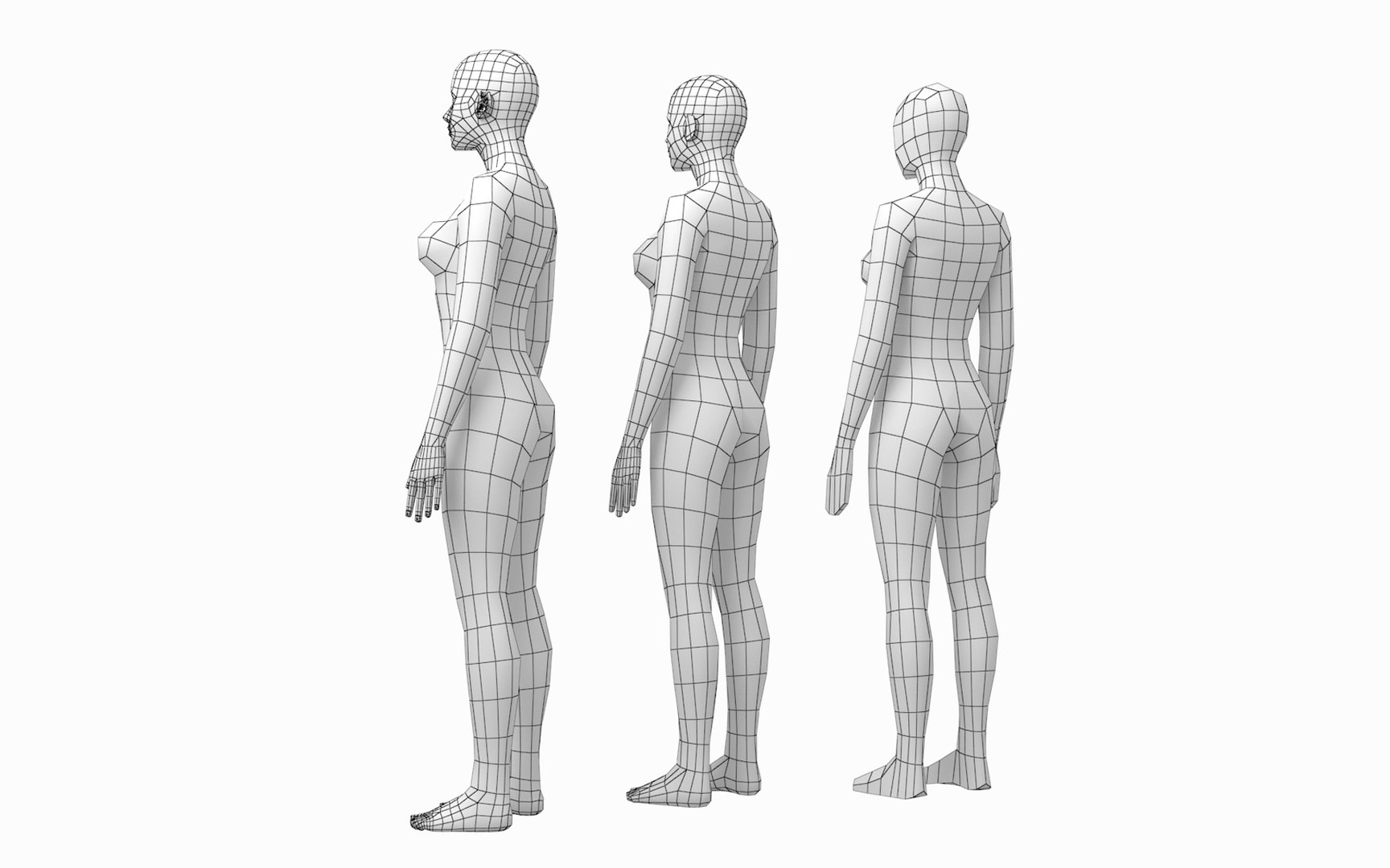 Natural Female And Male In Rest Pose Base Mesh BUNDLE 3D Model ...