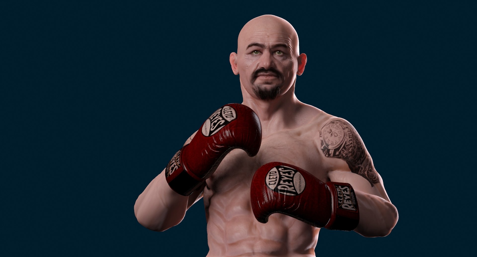 3d Realistic Boxer