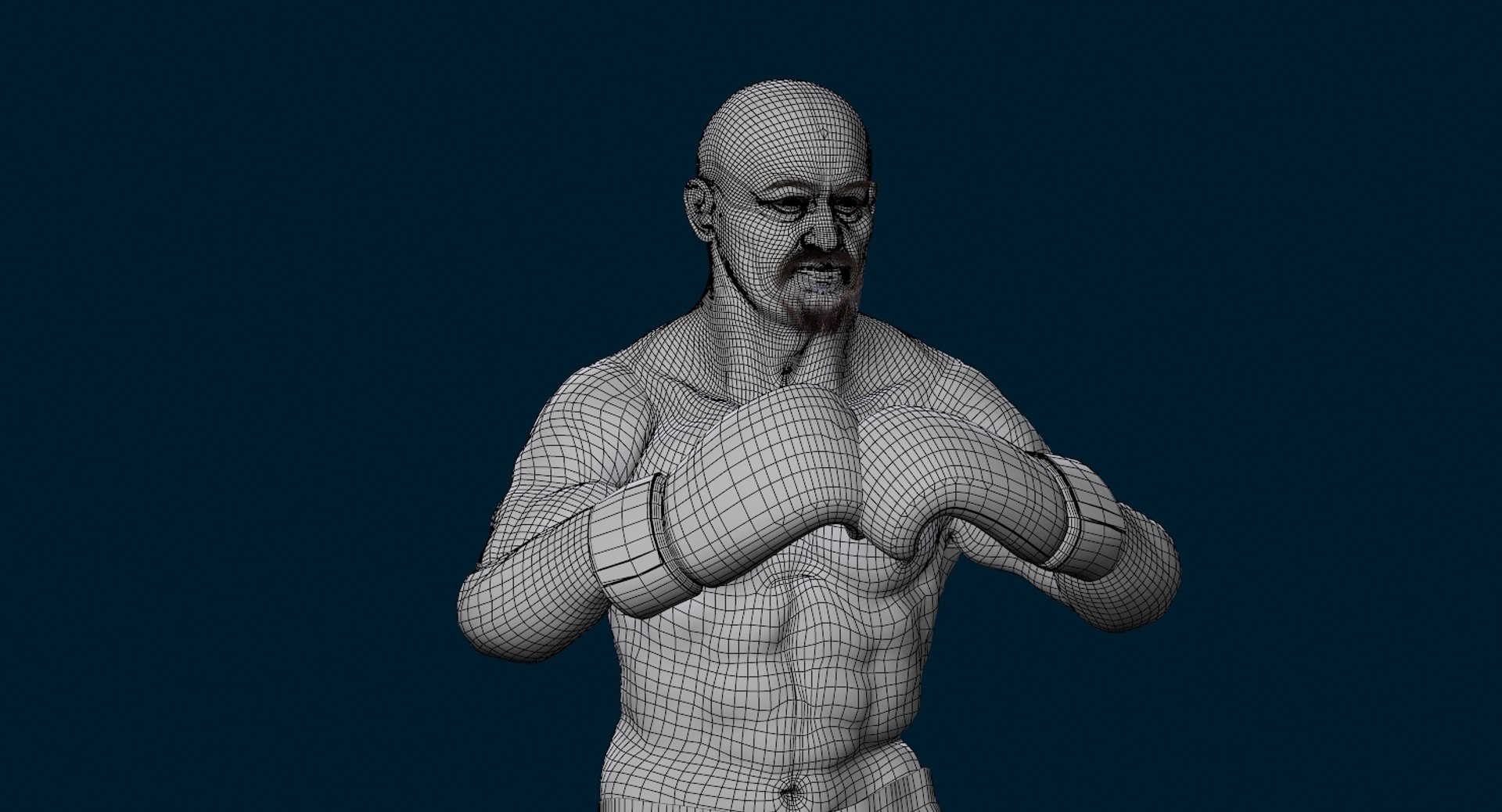 3d Realistic Boxer