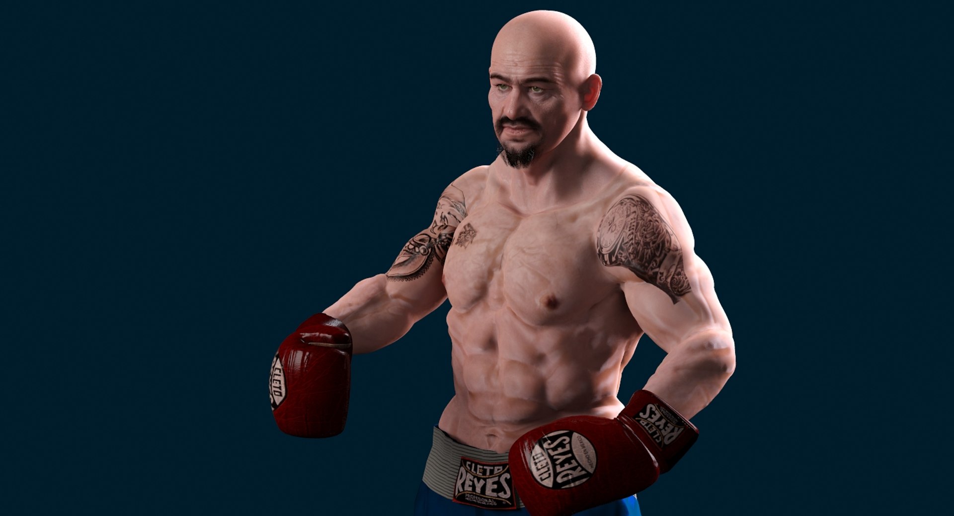 3d Realistic Boxer