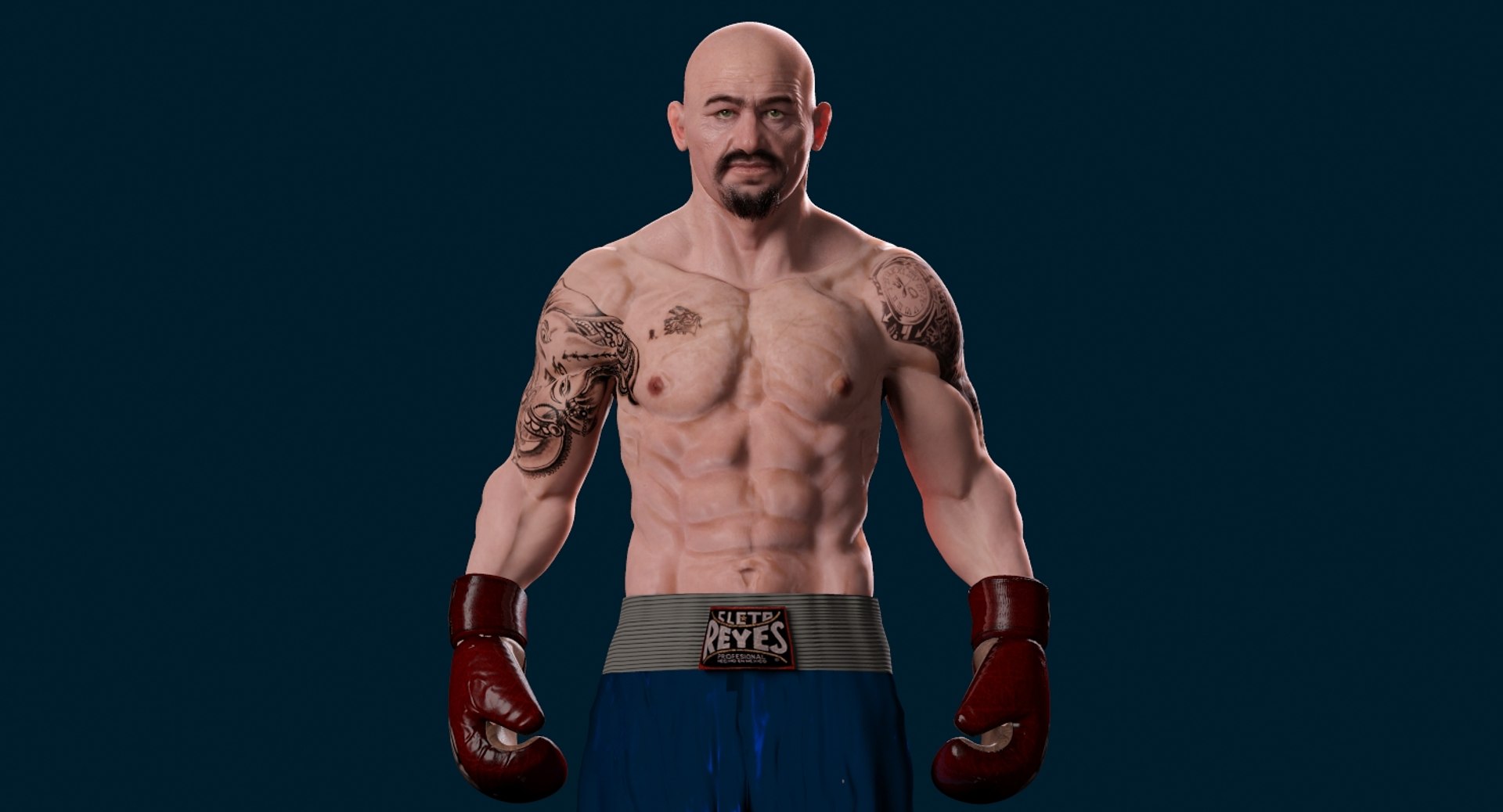 3d Realistic Boxer