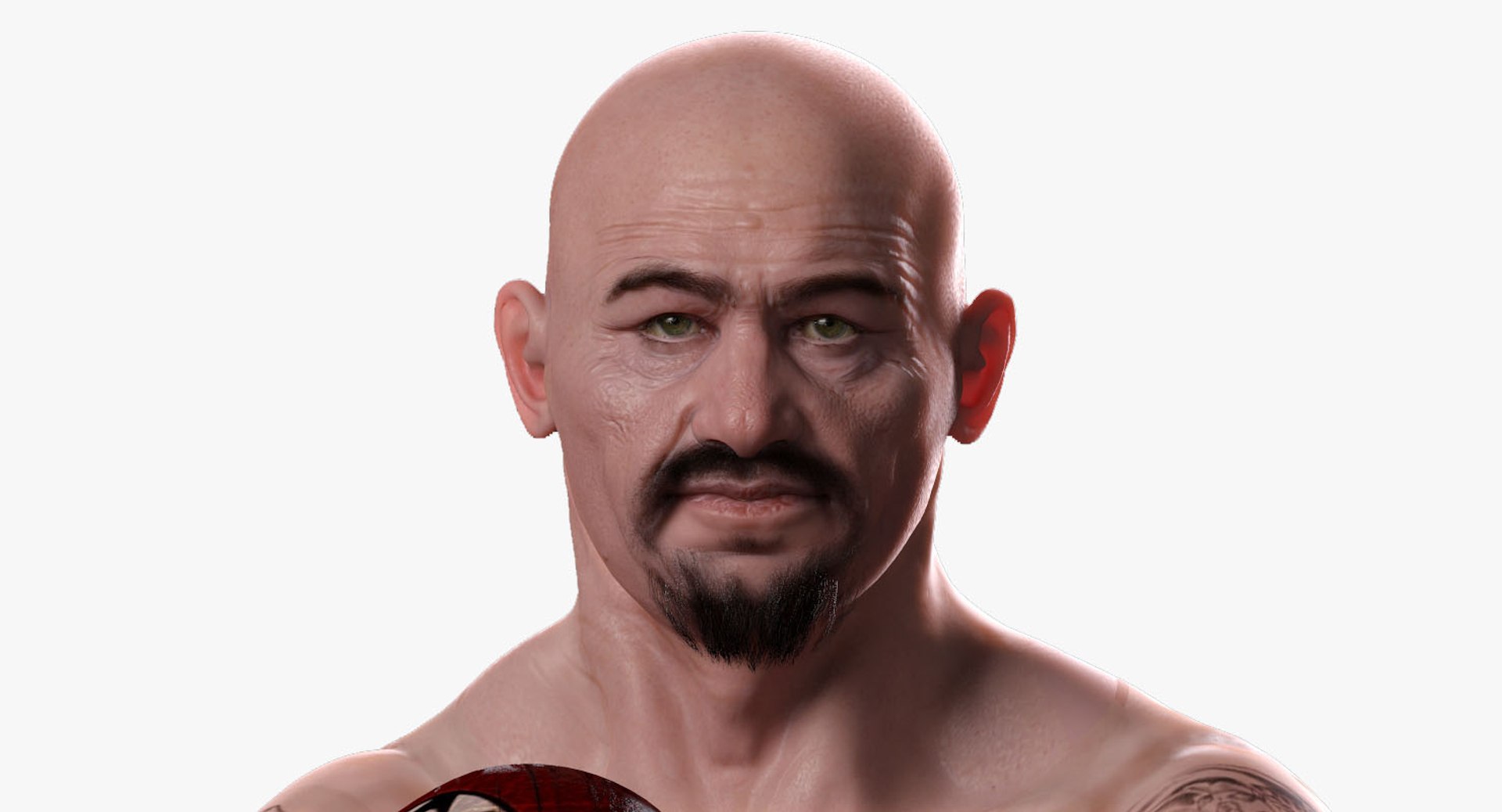 3d Realistic Boxer