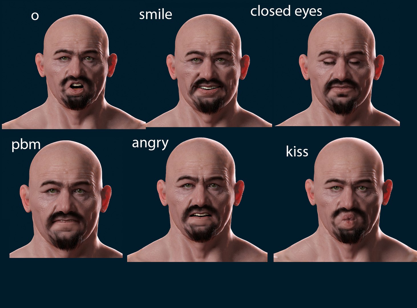3d Realistic Boxer