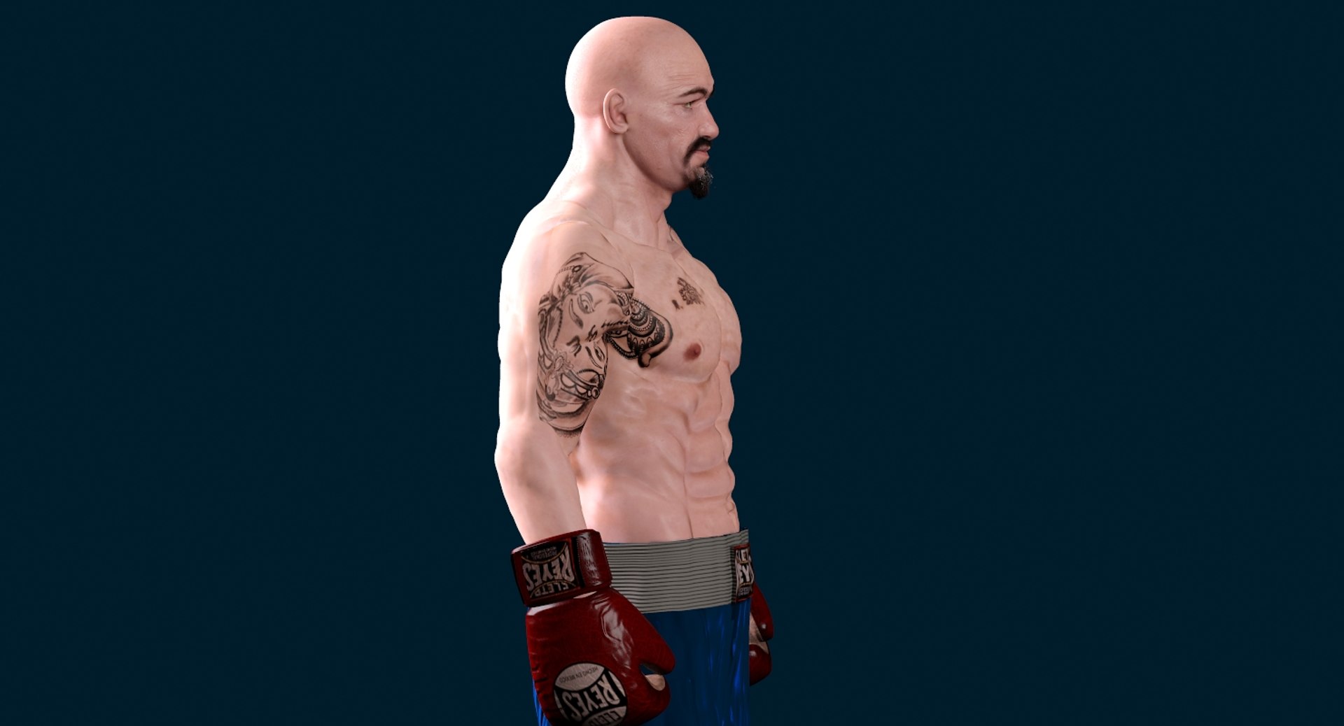 3d Realistic Boxer