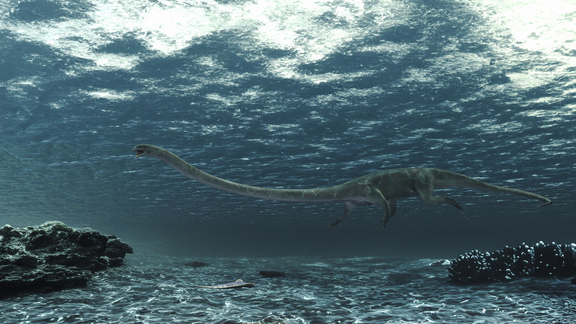 Tanystropheus 3D Model - TurboSquid 2214866