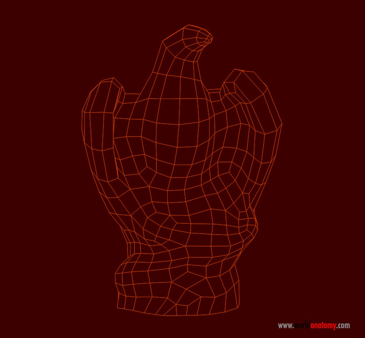 3ds Max Eagle Mesh