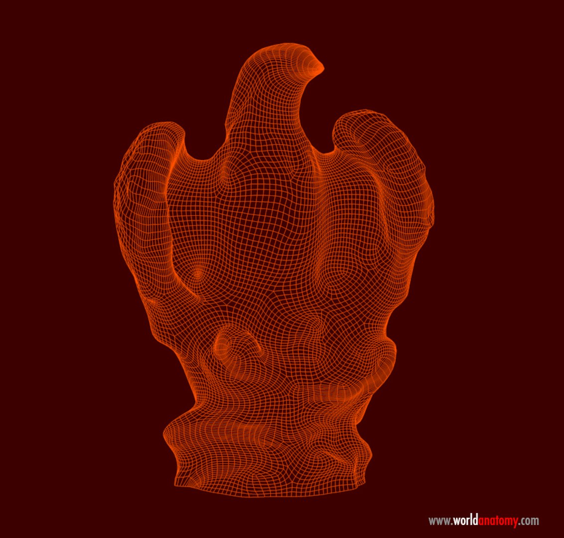 3ds Max Eagle Mesh