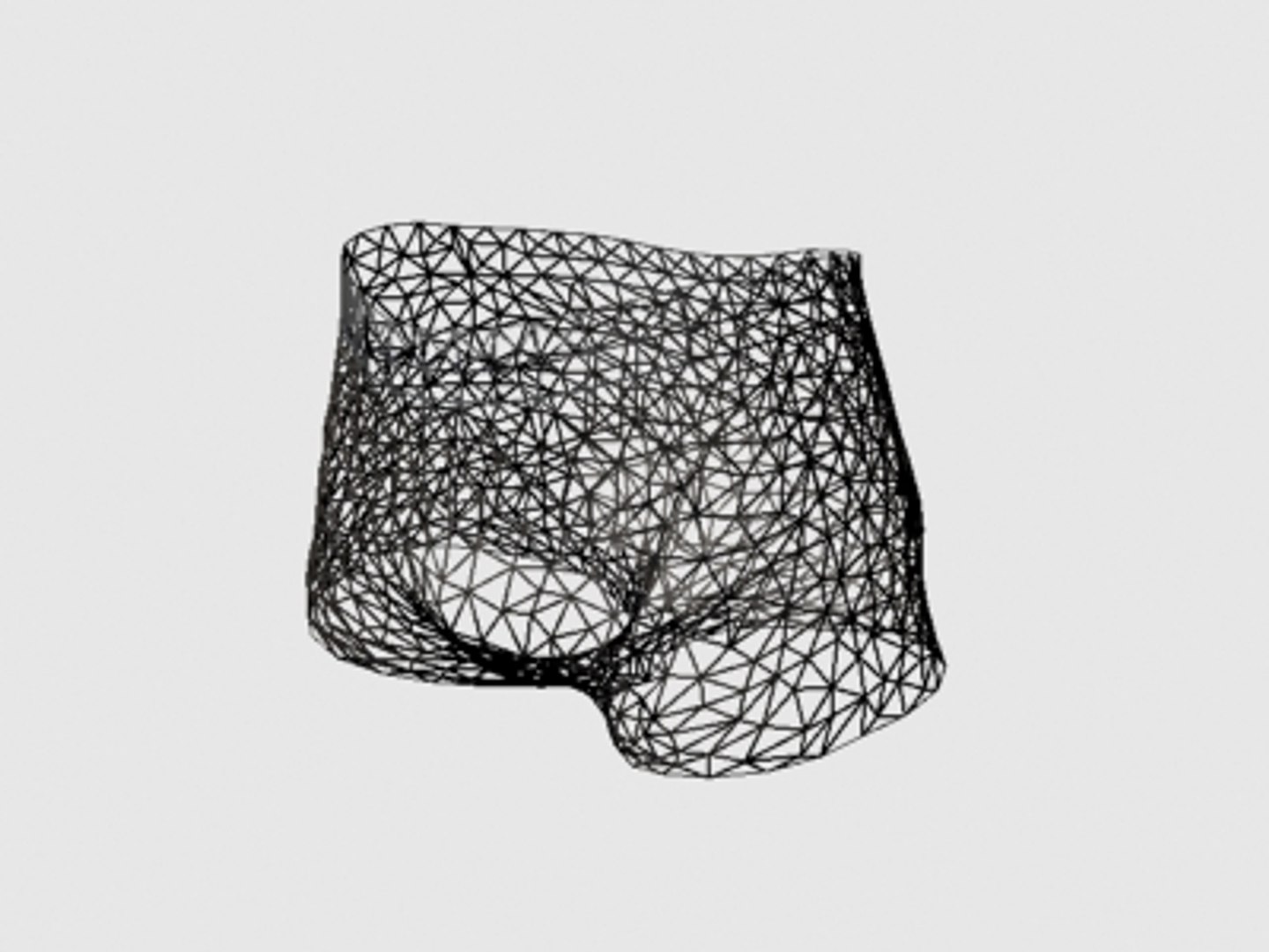 3d Model Boxers Briefs