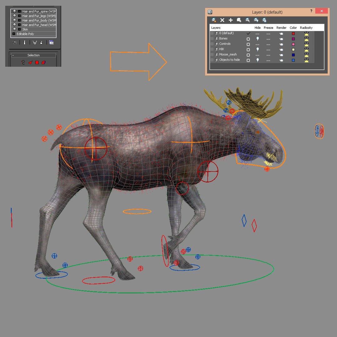 moose fur rigged 3d max