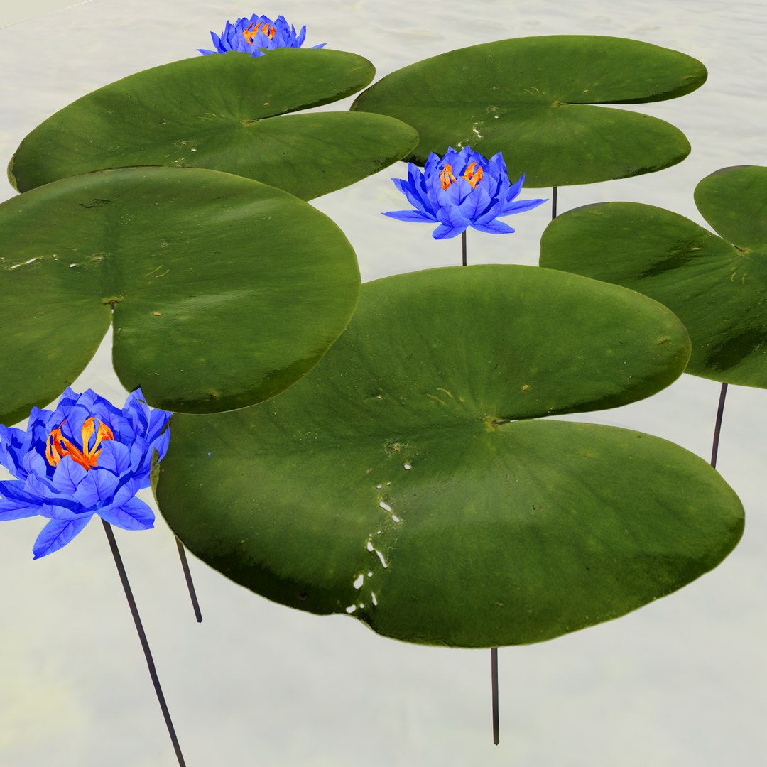 Aquatic Plants Pack 3D Model - TurboSquid 2291810