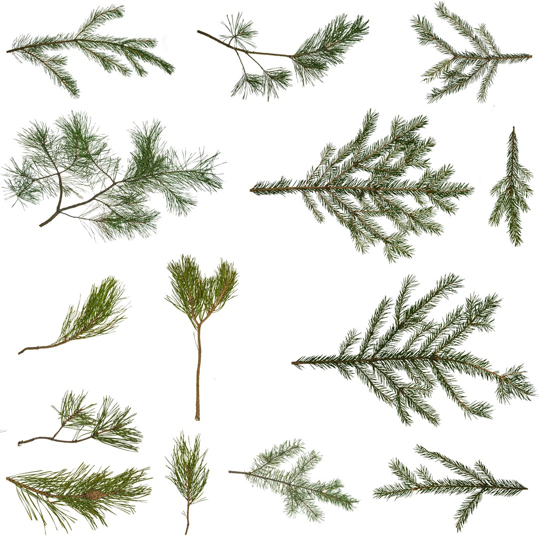 Trees29 Trees - Forest Pack - Unity Prefabs Low-poly 3D Model 3D - TurboSquid 2511304