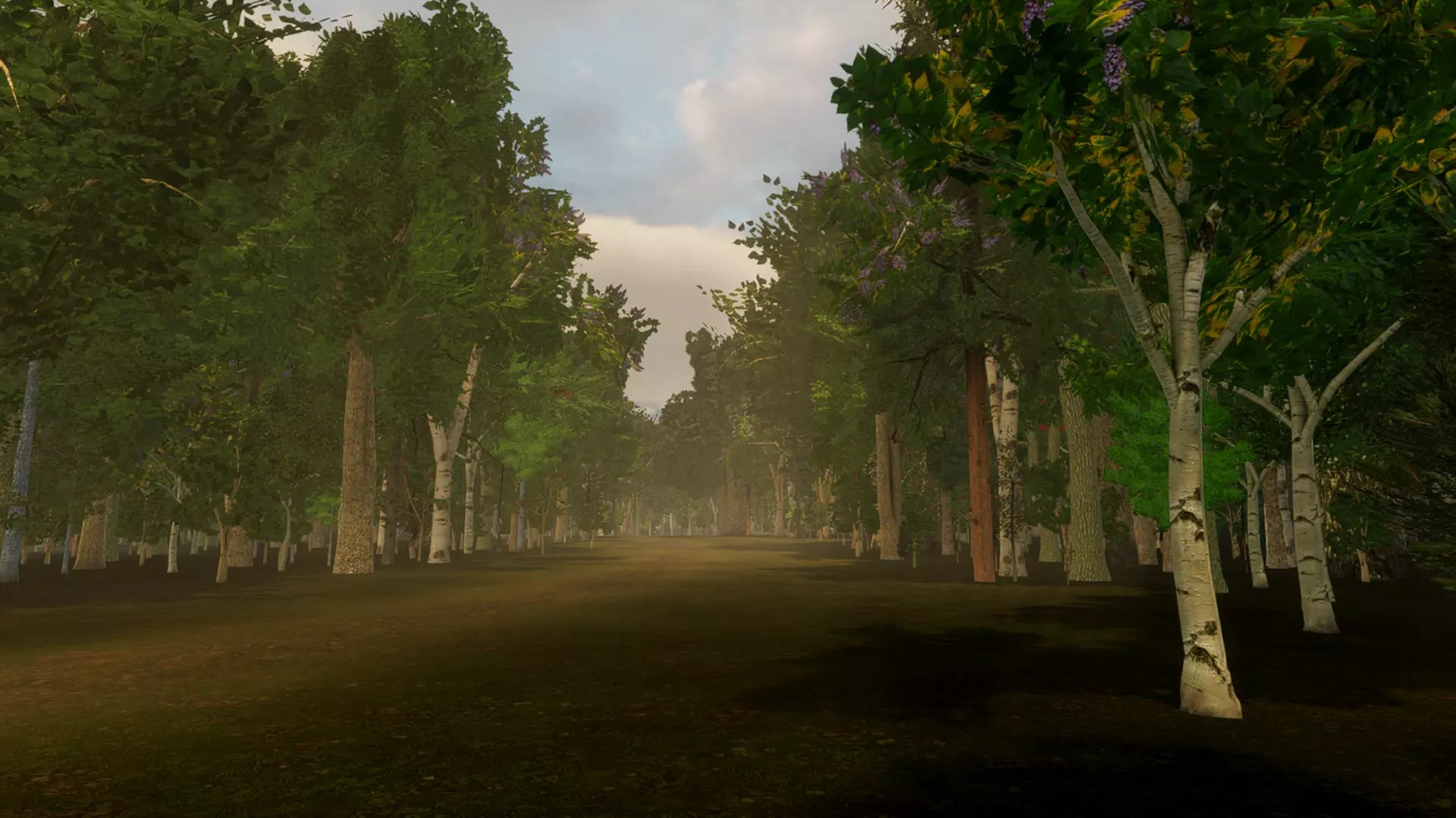 Trees29 Trees - Forest Pack - Unity Prefabs Low-poly 3D Model 3D - TurboSquid 2511304