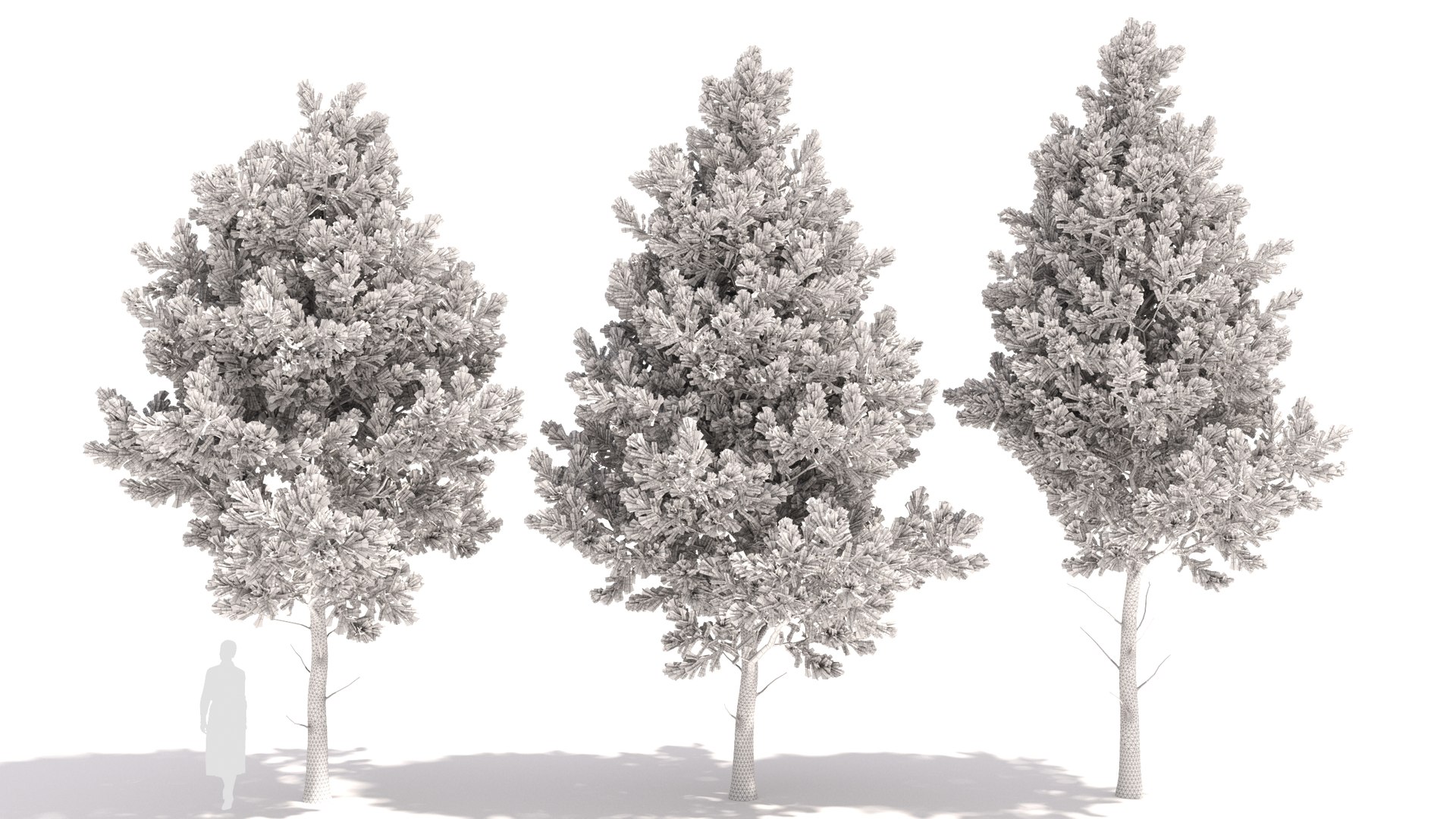 3D Picea Tree Model - TurboSquid 2057840