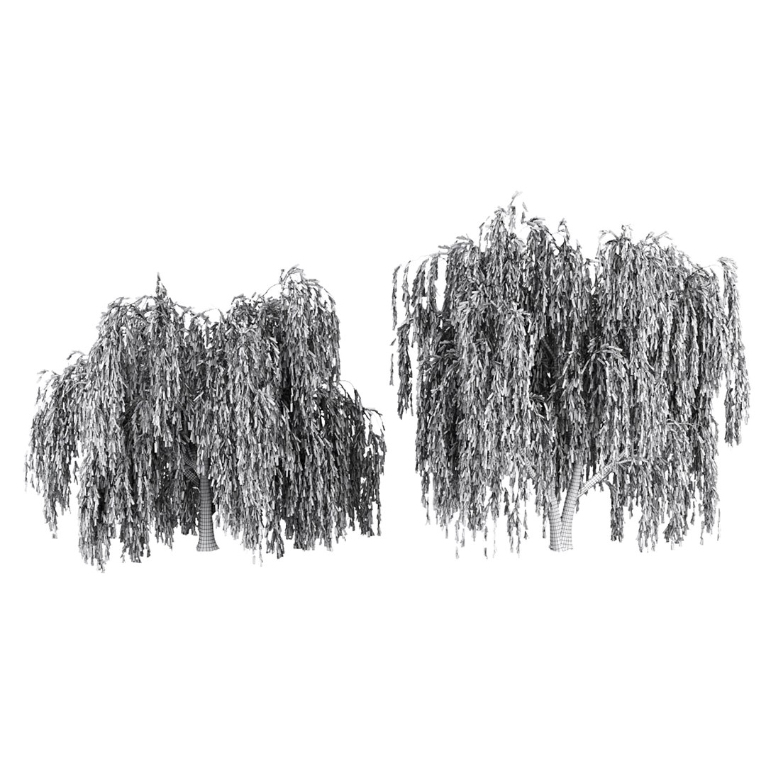2 Willow Trees Vol12 3D Model - TurboSquid 1947082