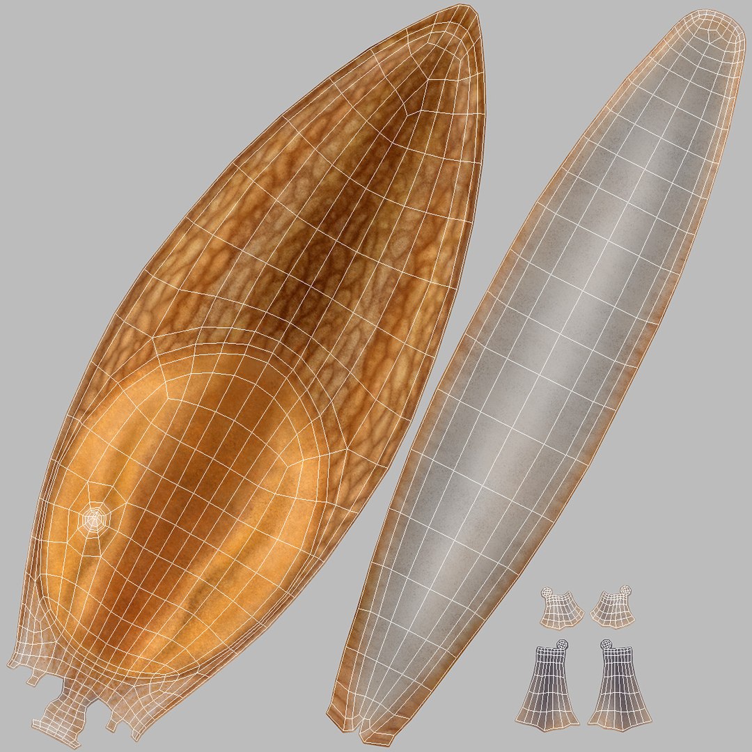 Slug Arion Fuscus Reaching Up 3D model - TurboSquid 2013454