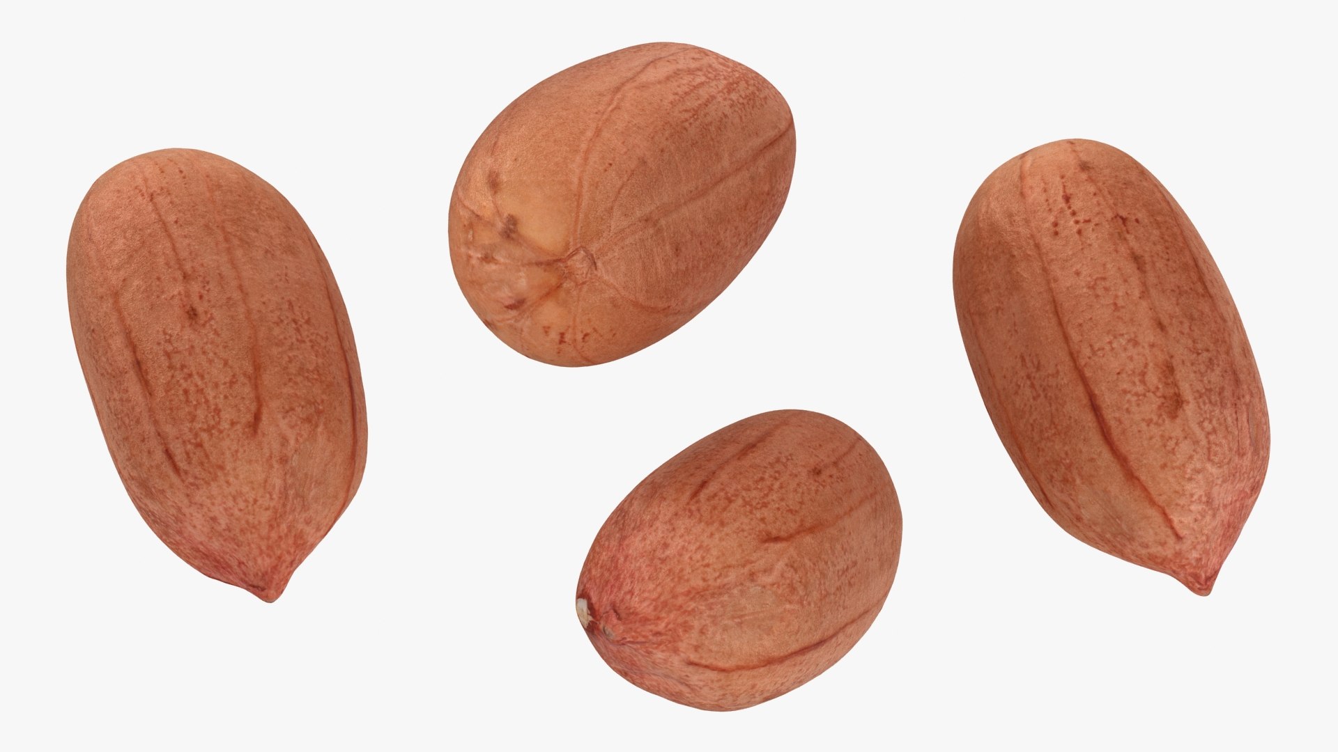 Peanut Shell Collection 3 3D model - TurboSquid 1960975