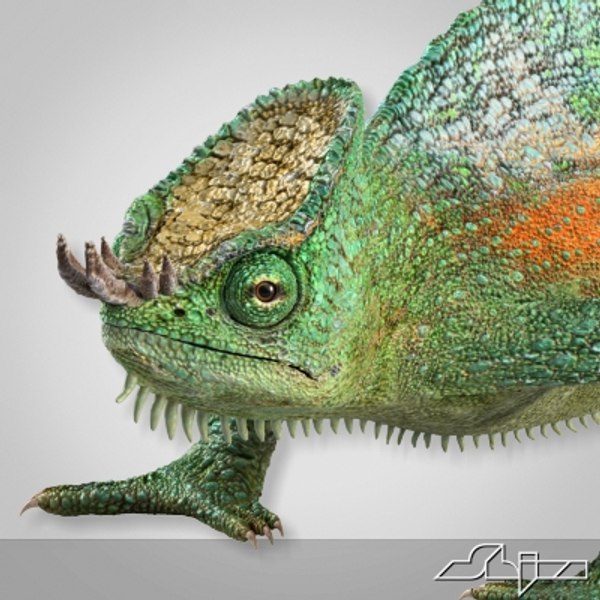gecko lizard 3d max