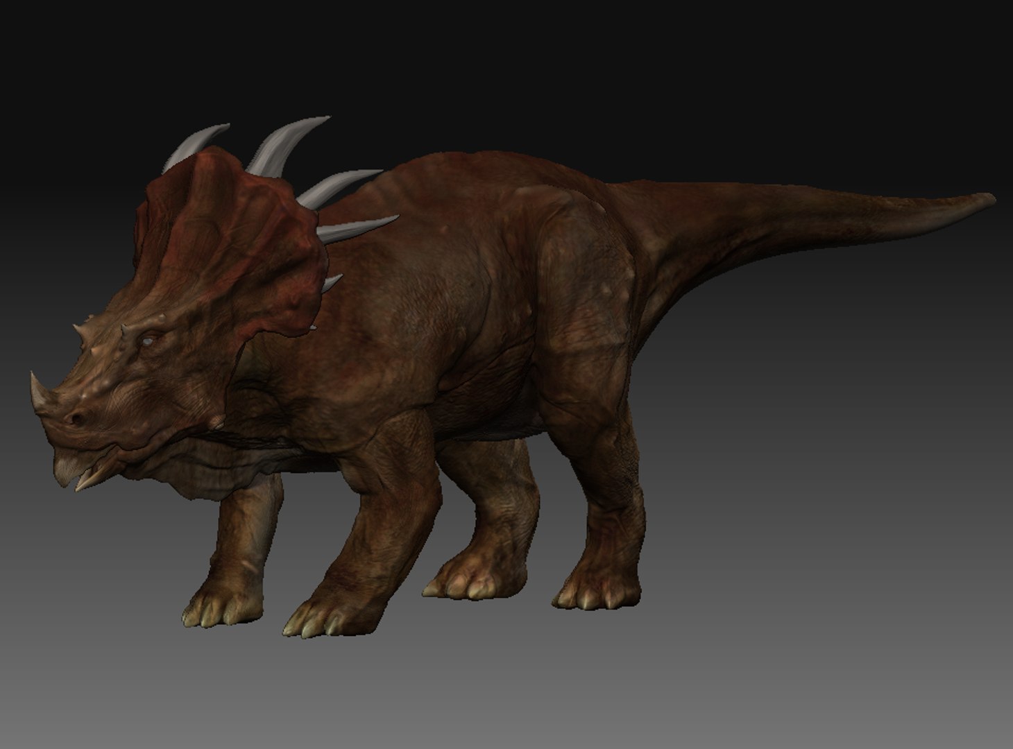 Styracosaurus Dinosaur Details 3d Model
