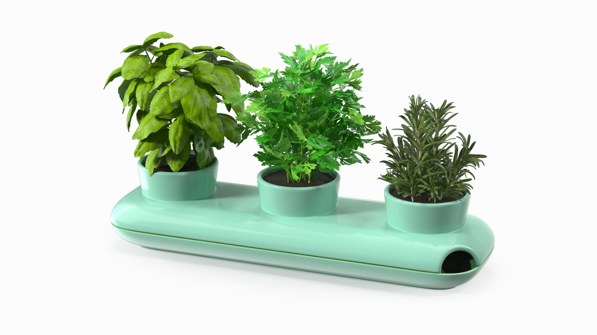 Herbs In Trio Stoneware Pot Sagaform Green 3D Model - TurboSquid 2217125