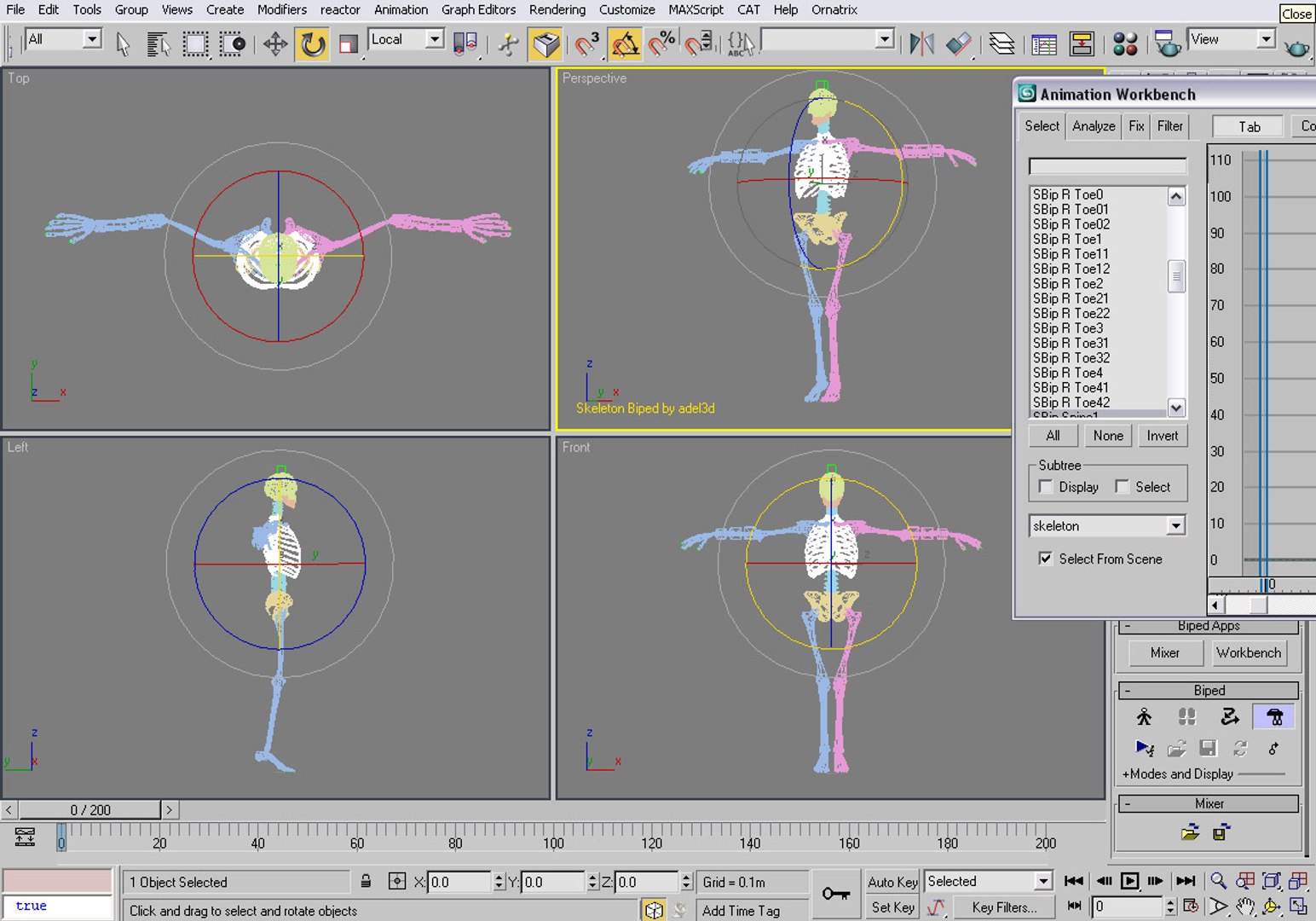 Realistic Skeleton Biped Human 3d Model