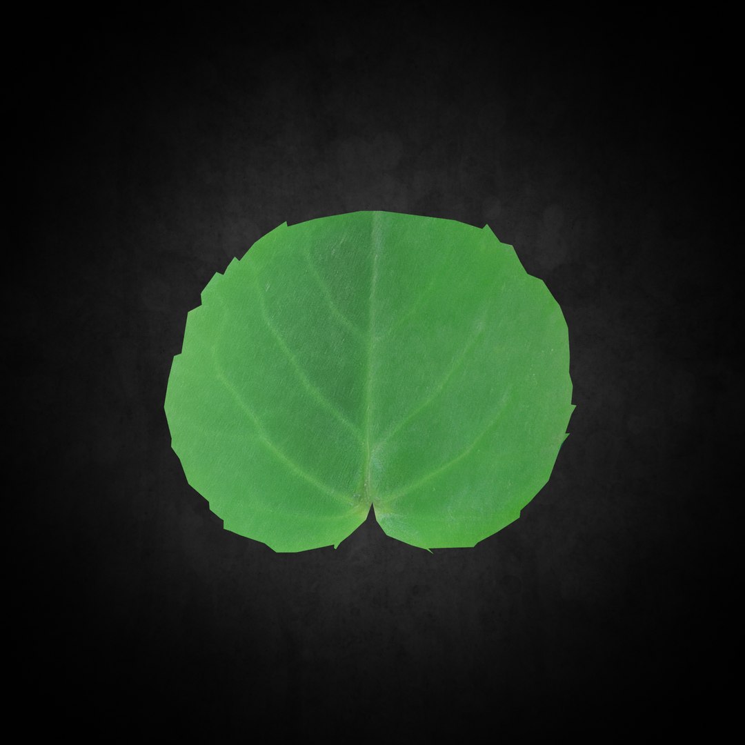3D Low Poly Leaf 077 Model - TurboSquid 1852537