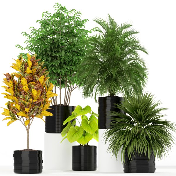 3D plants 183 - TurboSquid 1435736