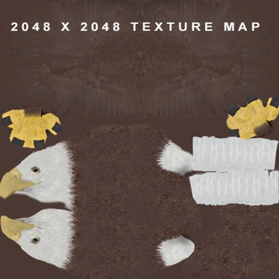 3d Model Of Bald Eagle