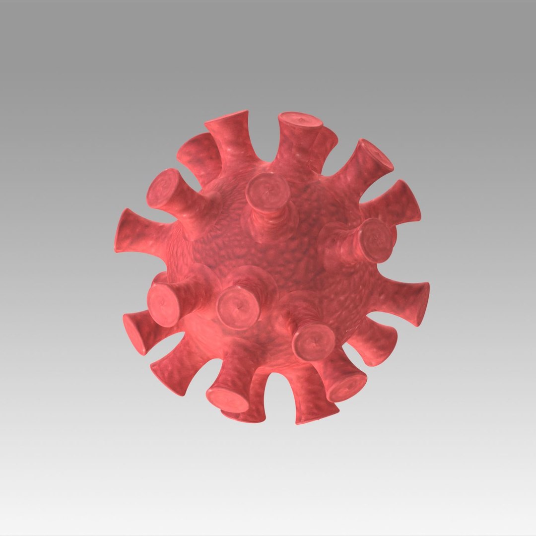 3D Coronavirus Biology Model - TurboSquid 1558361