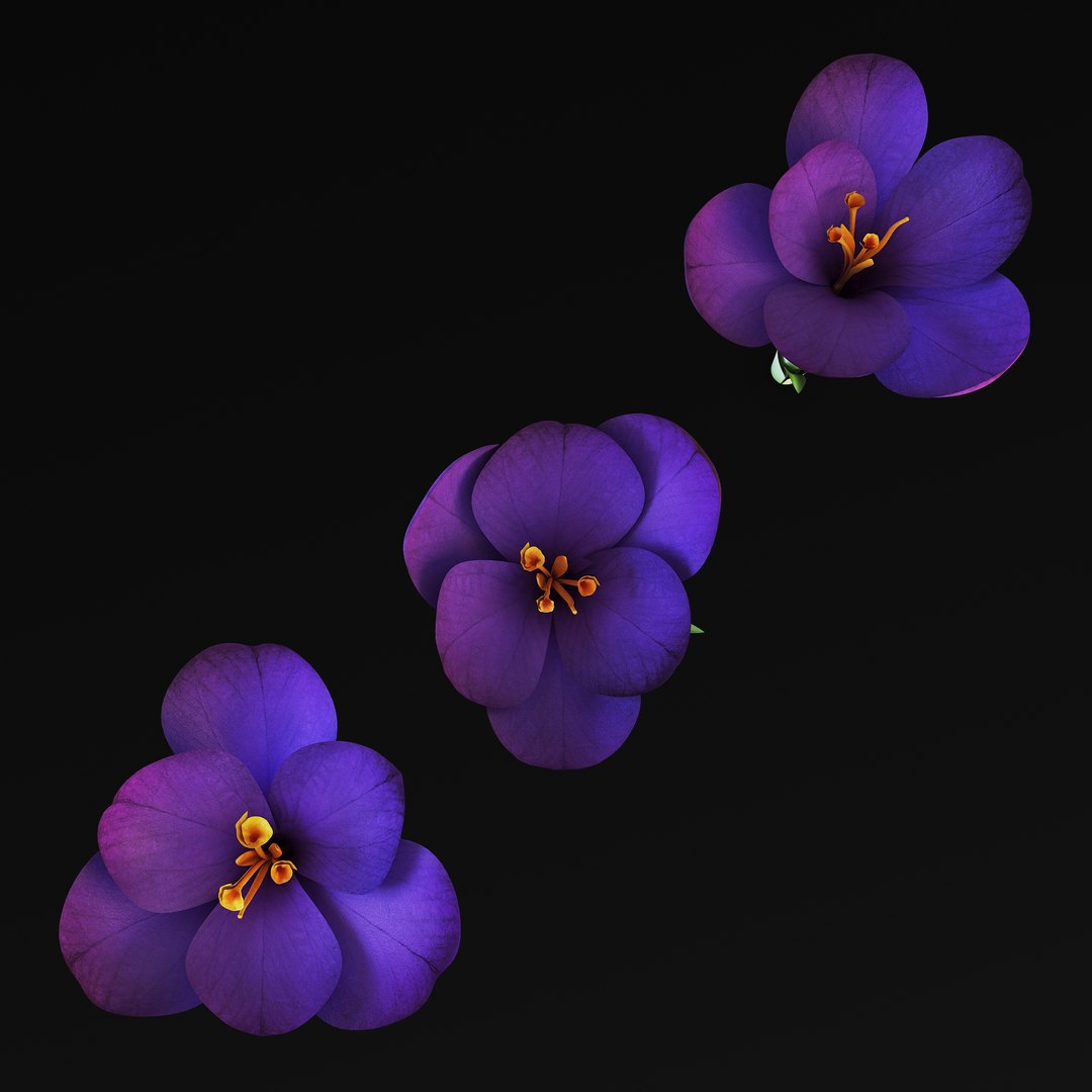 Flower Crocus Violet V 3D Model - TurboSquid 1616170