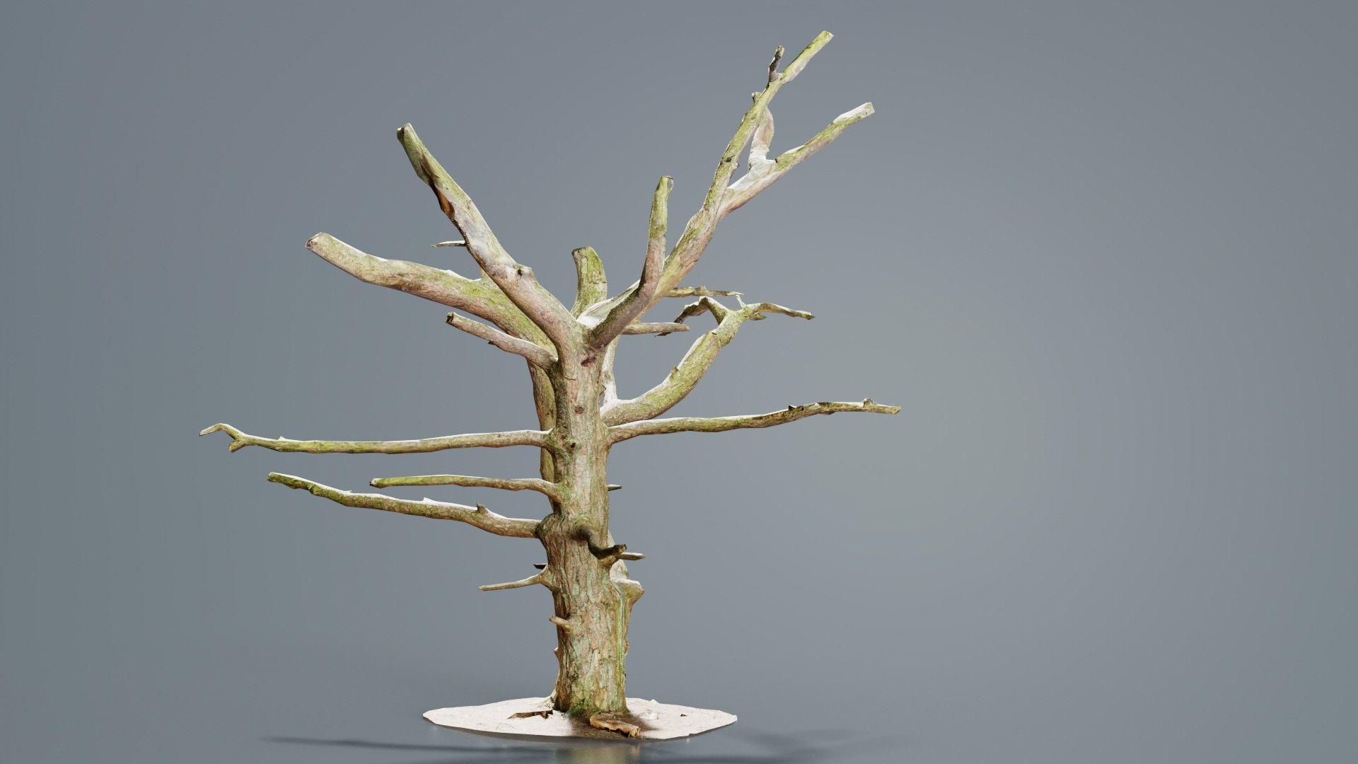 3D Dancing Tree Trunk Remastered Model - TurboSquid 2363175