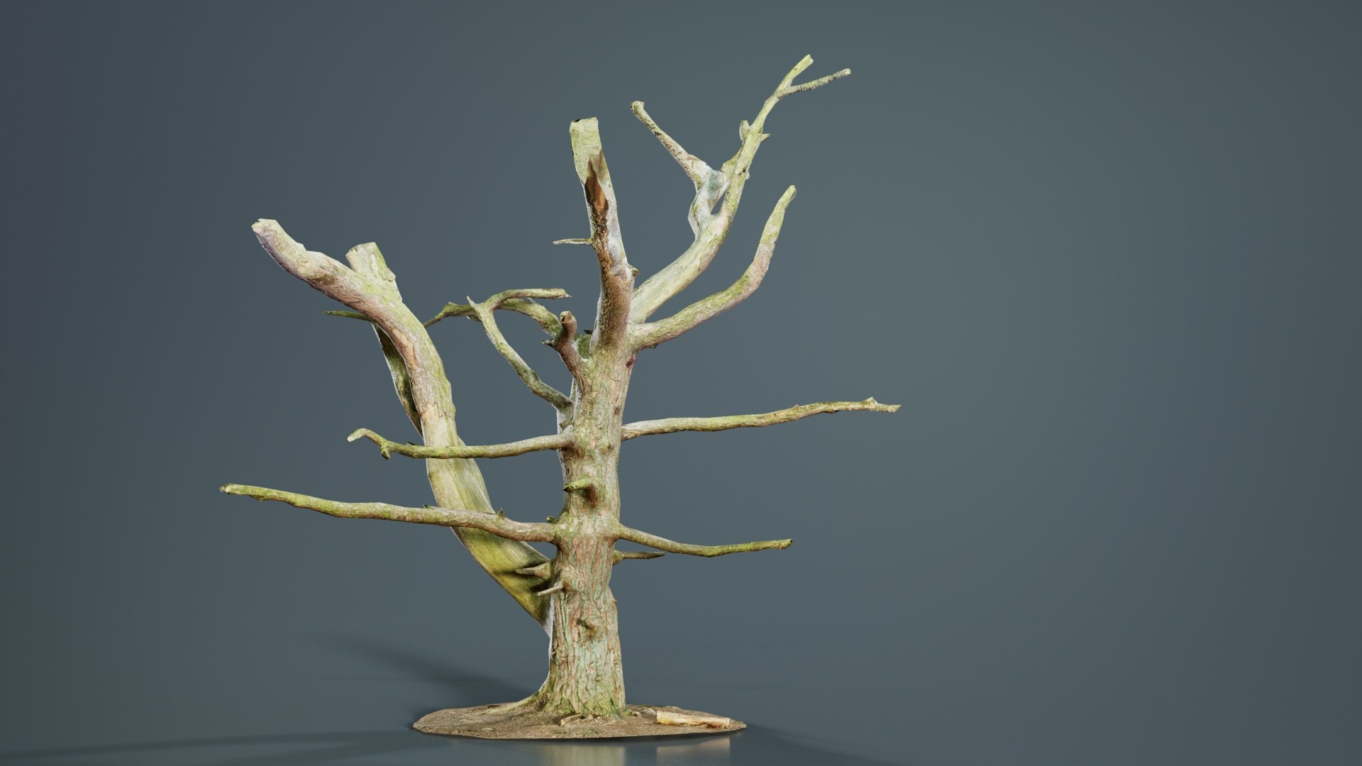 3D Dancing Tree Trunk Remastered Model - TurboSquid 2363175