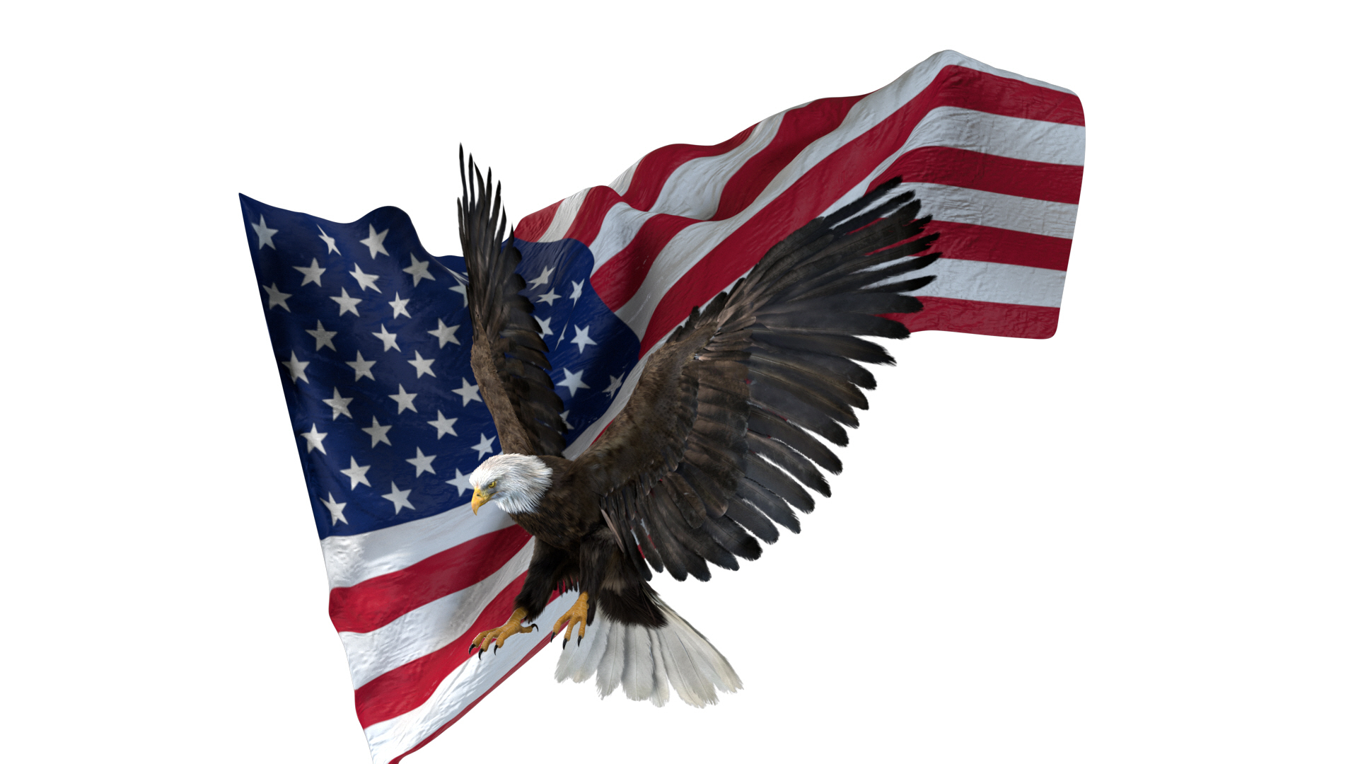 Realistic eagle rigged america model - TurboSquid 1512361