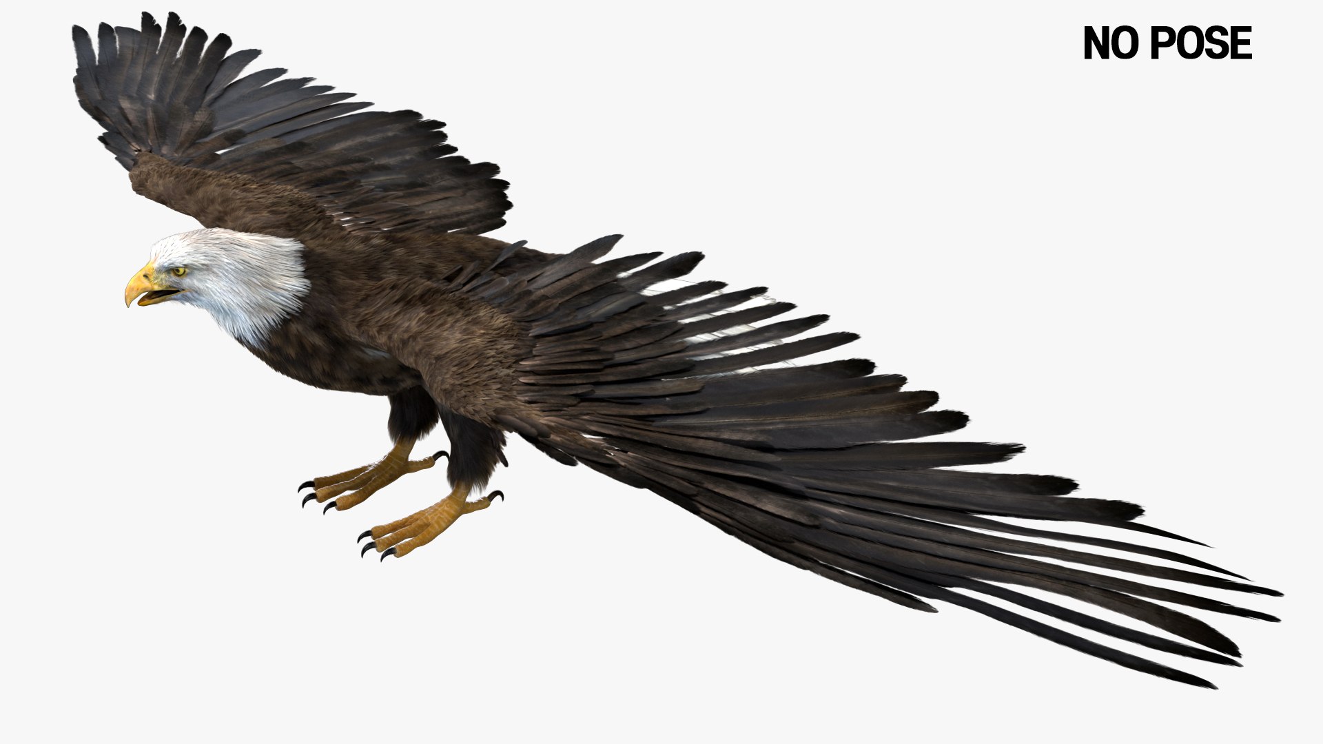 Realistic eagle rigged america model - TurboSquid 1512361