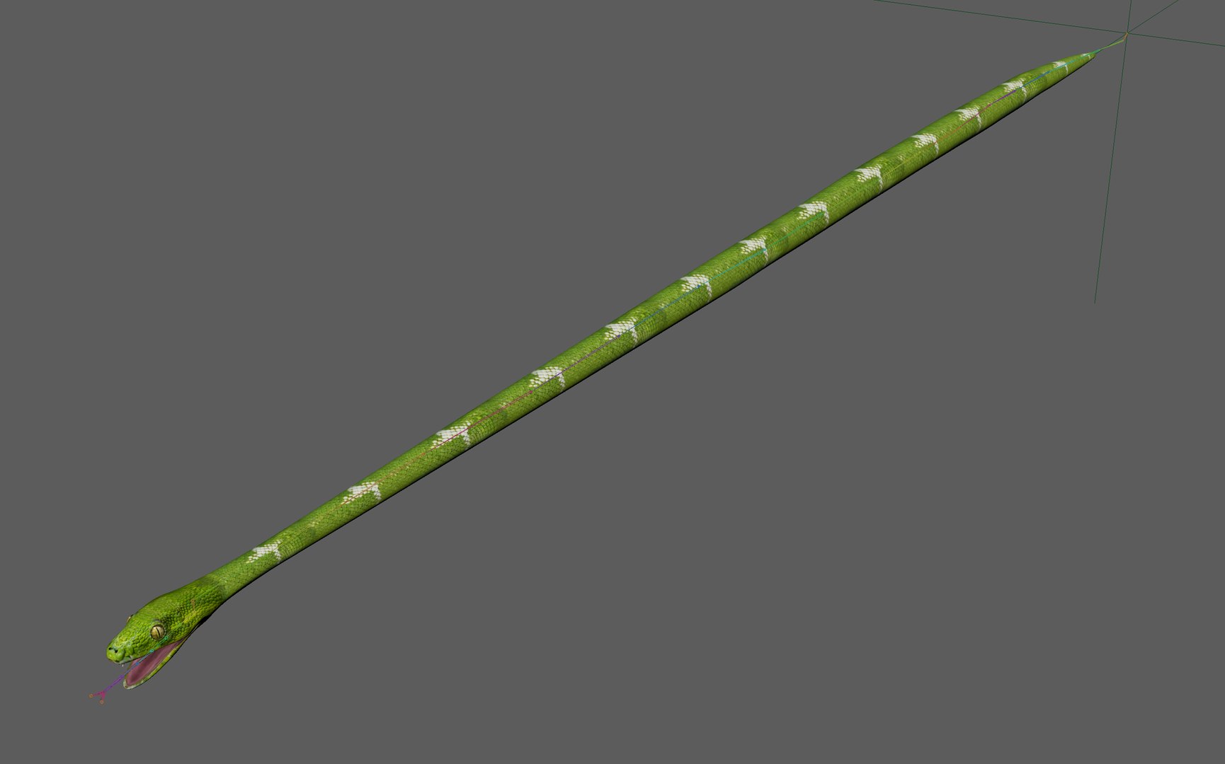 3D Snake Low poly - TurboSquid 2057207