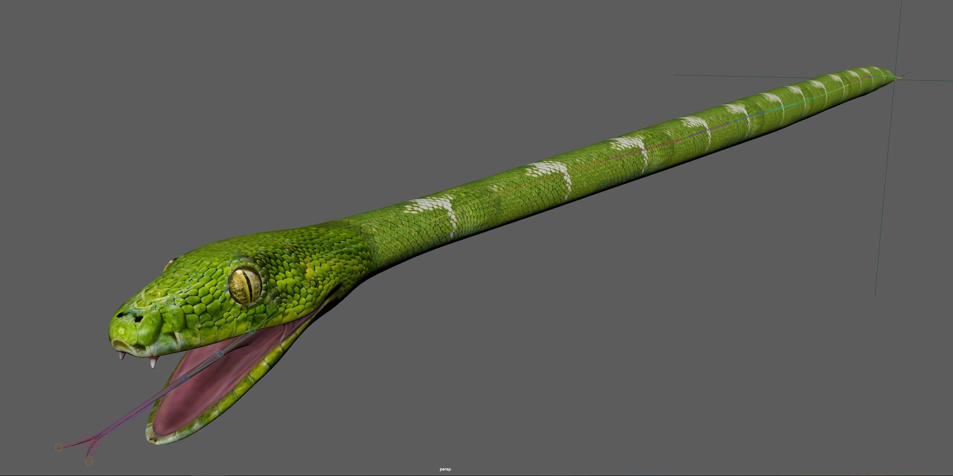 3D Snake Low poly - TurboSquid 2057207