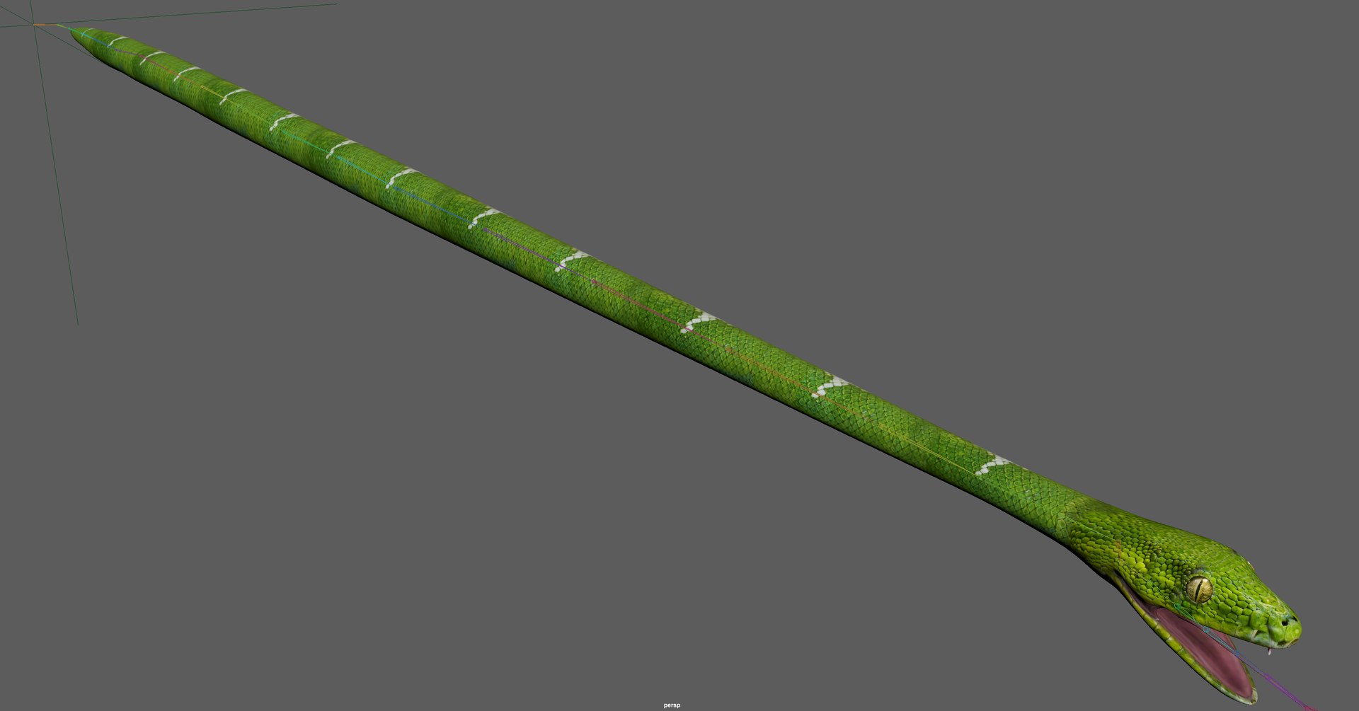 3D Snake Low poly - TurboSquid 2057207