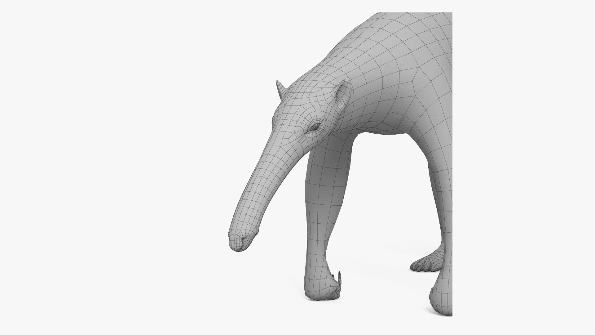 3D Giant Anteater Model - TurboSquid 2074294