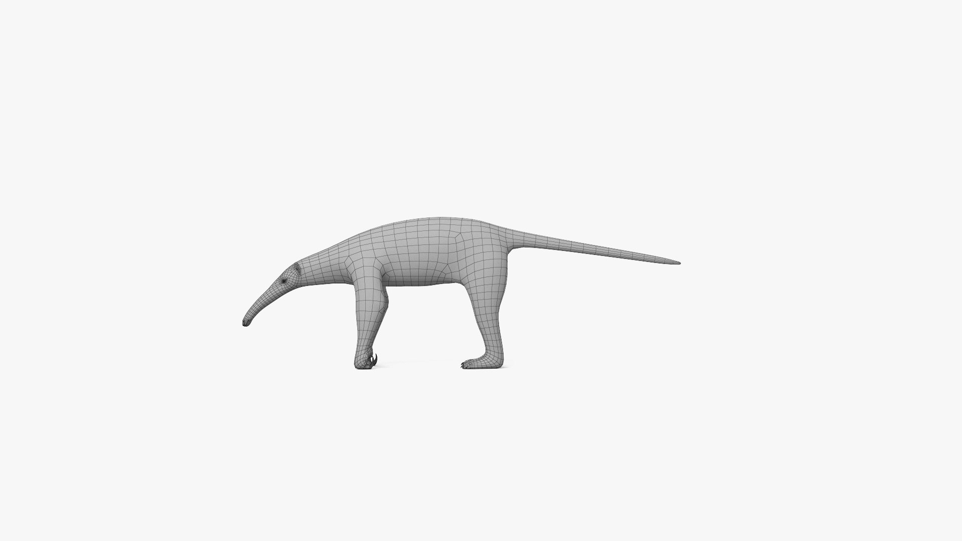 3D Giant Anteater Model - TurboSquid 2074294