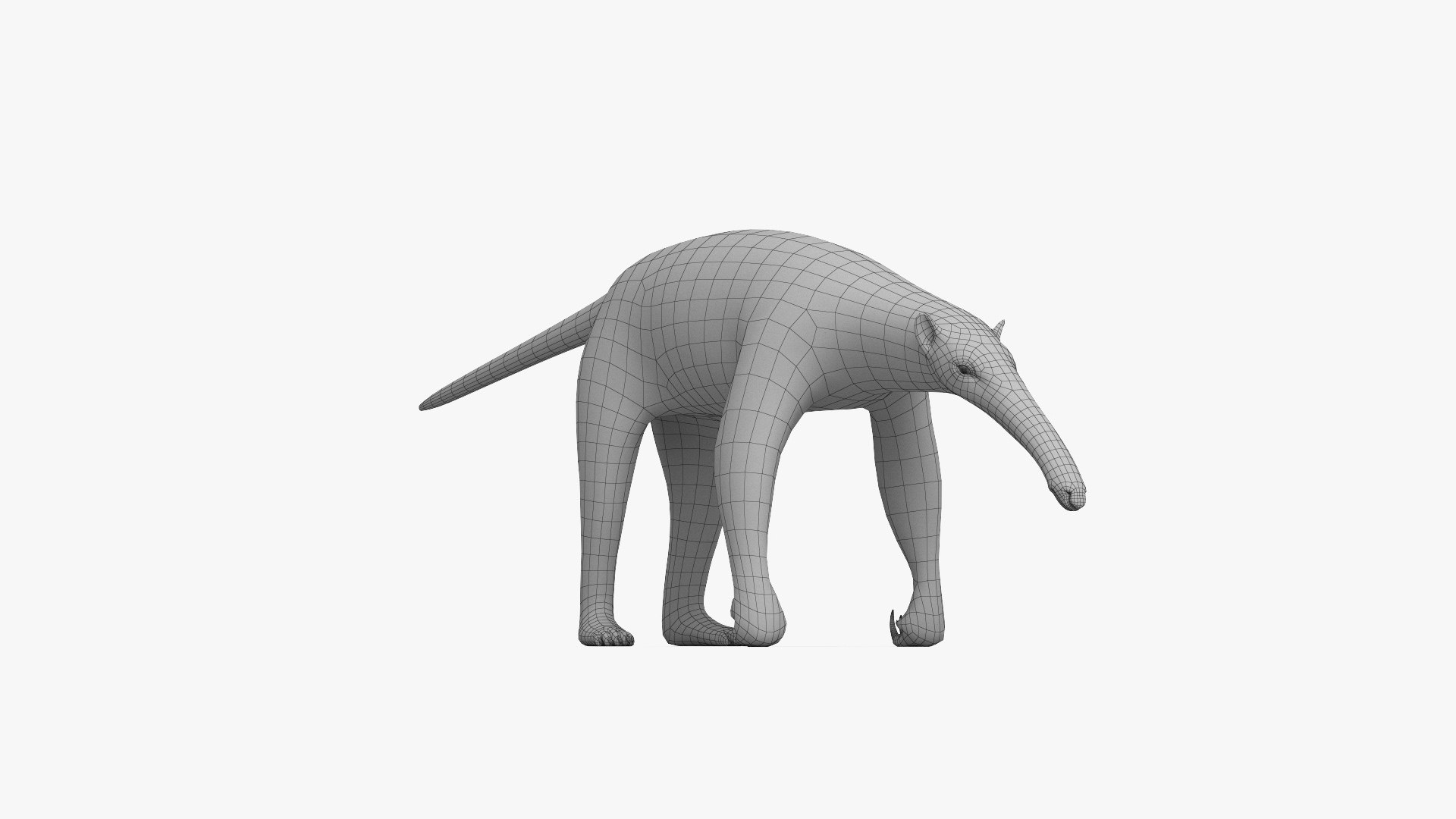 3D Giant Anteater Model - TurboSquid 2074294