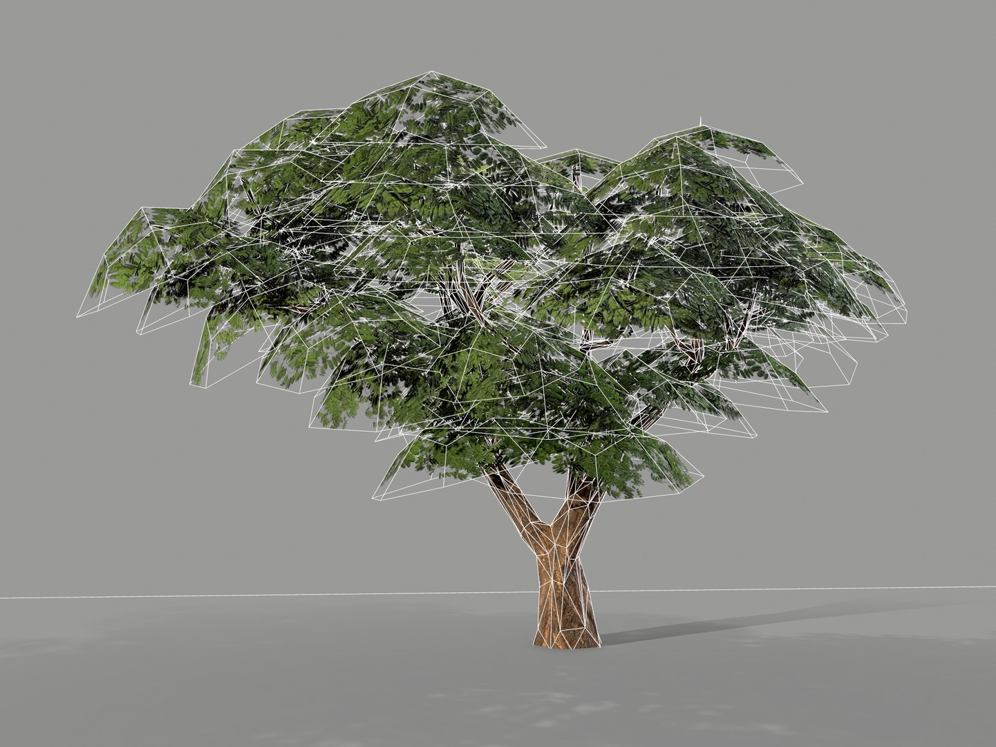 Ucla Tree 2 Variations 3D Model - TurboSquid 1314497