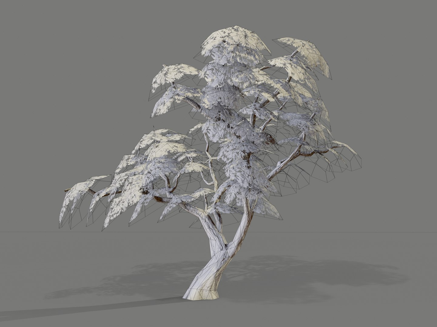 Ucla Tree 2 Variations 3D Model - TurboSquid 1314497