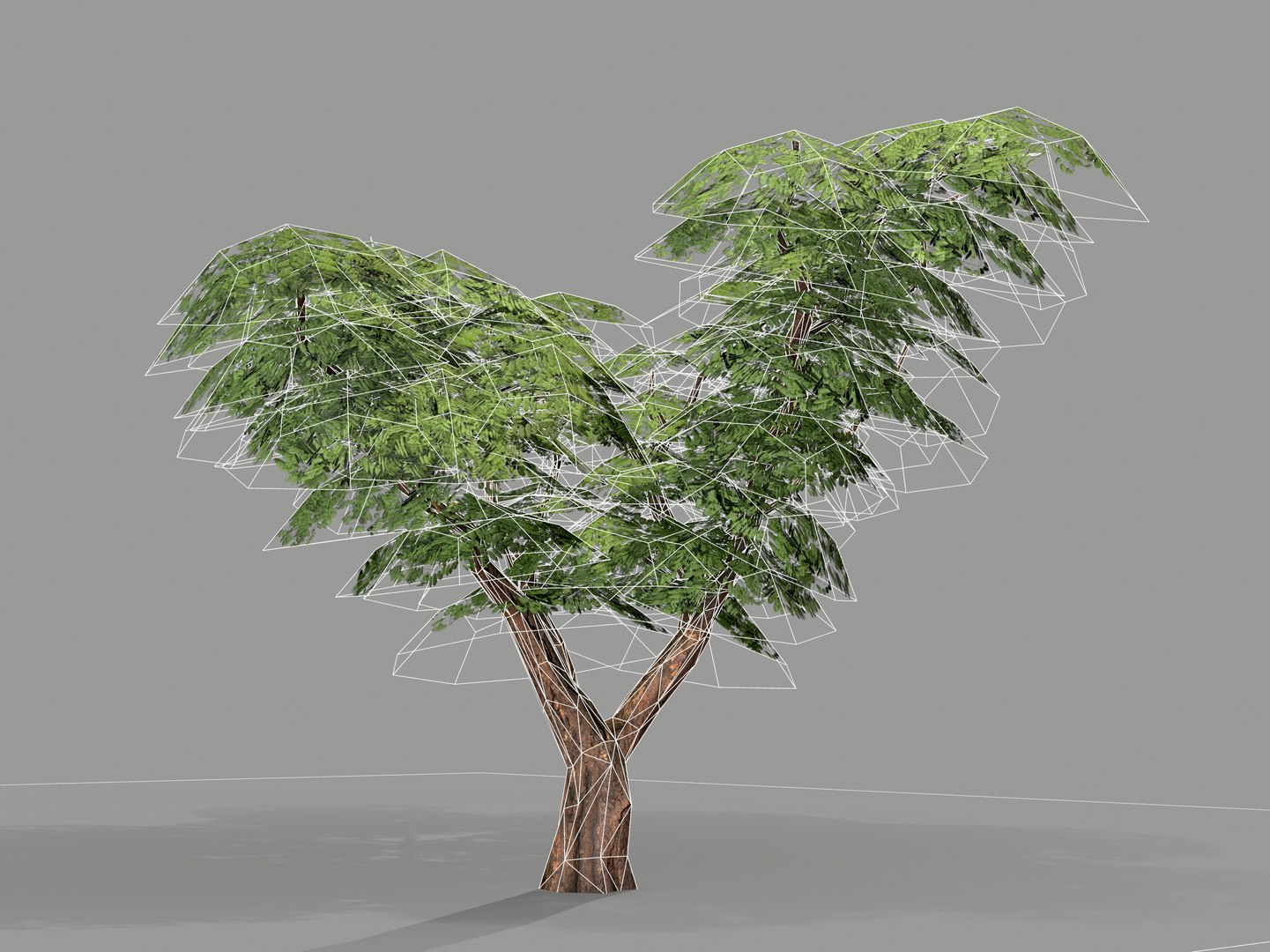 Ucla Tree 2 Variations 3D Model - TurboSquid 1314497