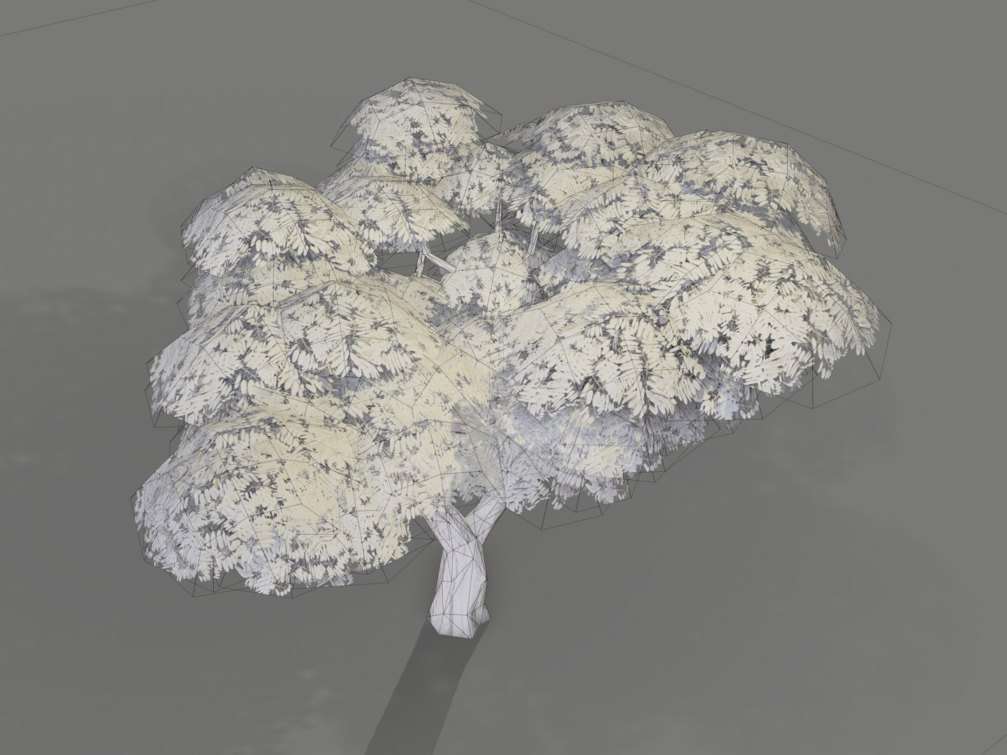 Ucla Tree 2 Variations 3D Model - TurboSquid 1314497