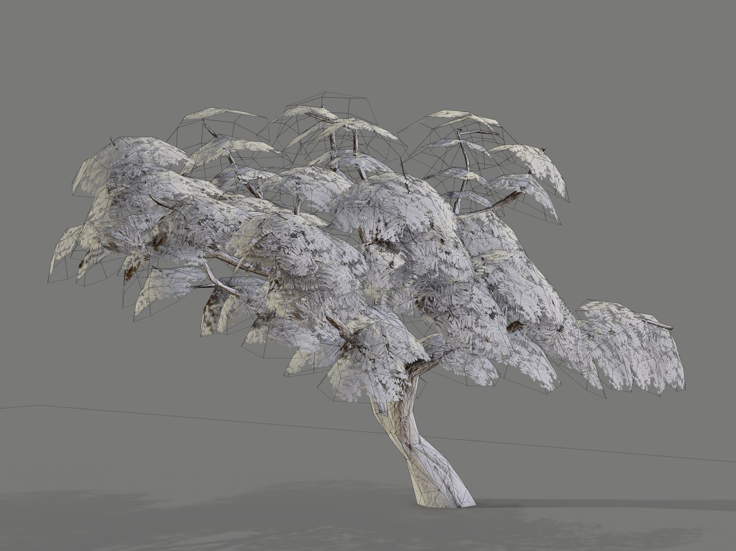 Ucla Tree 2 Variations 3D Model - TurboSquid 1314497