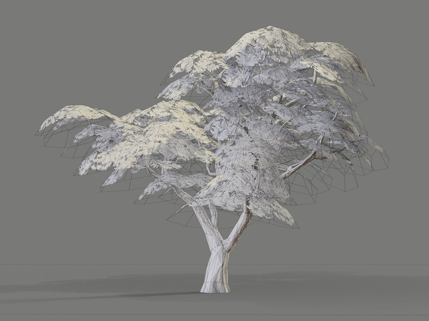 Ucla Tree 2 Variations 3D Model - TurboSquid 1314497