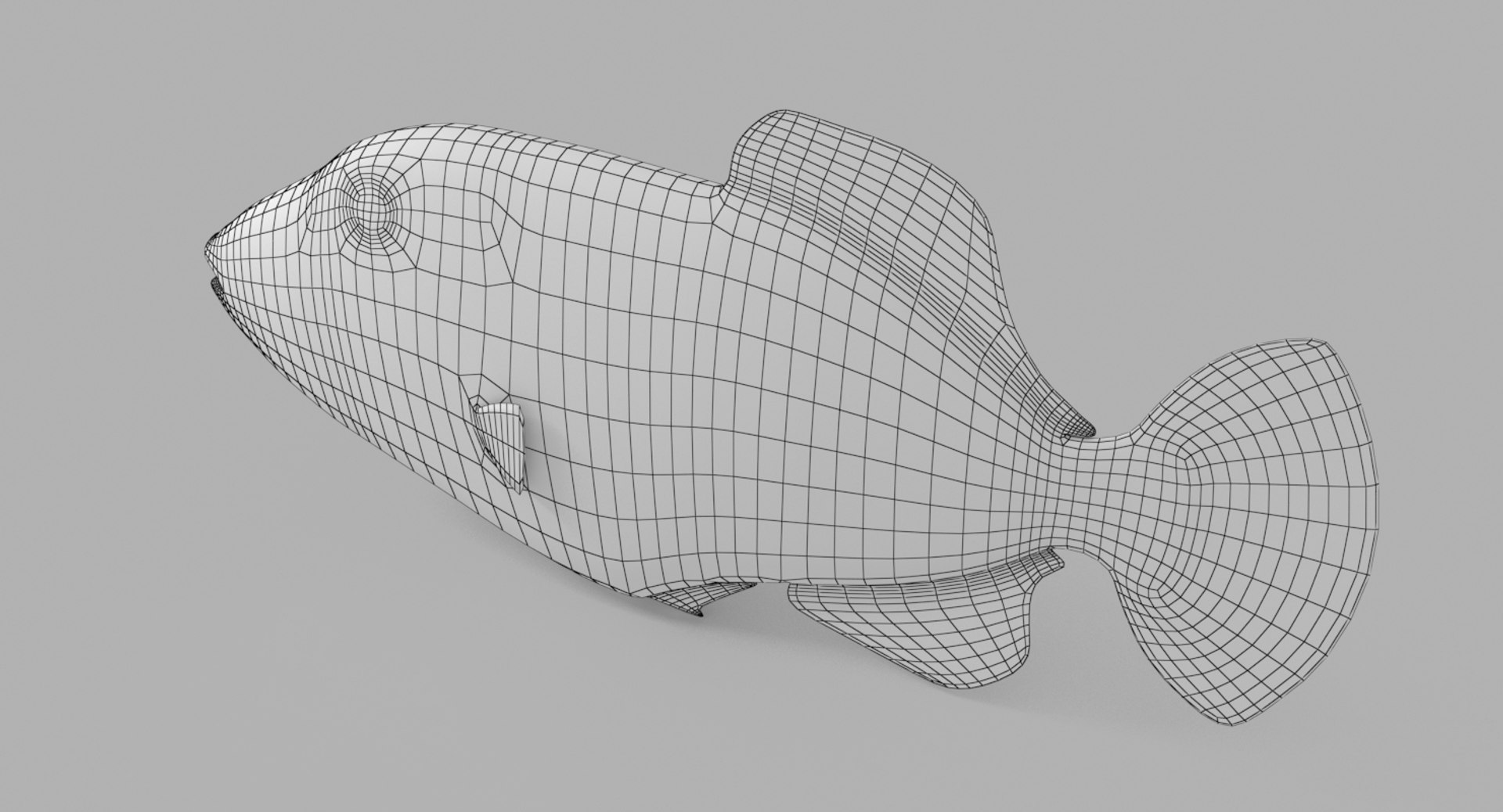 Undulate Triggerfish 3D Model - TurboSquid 1203585