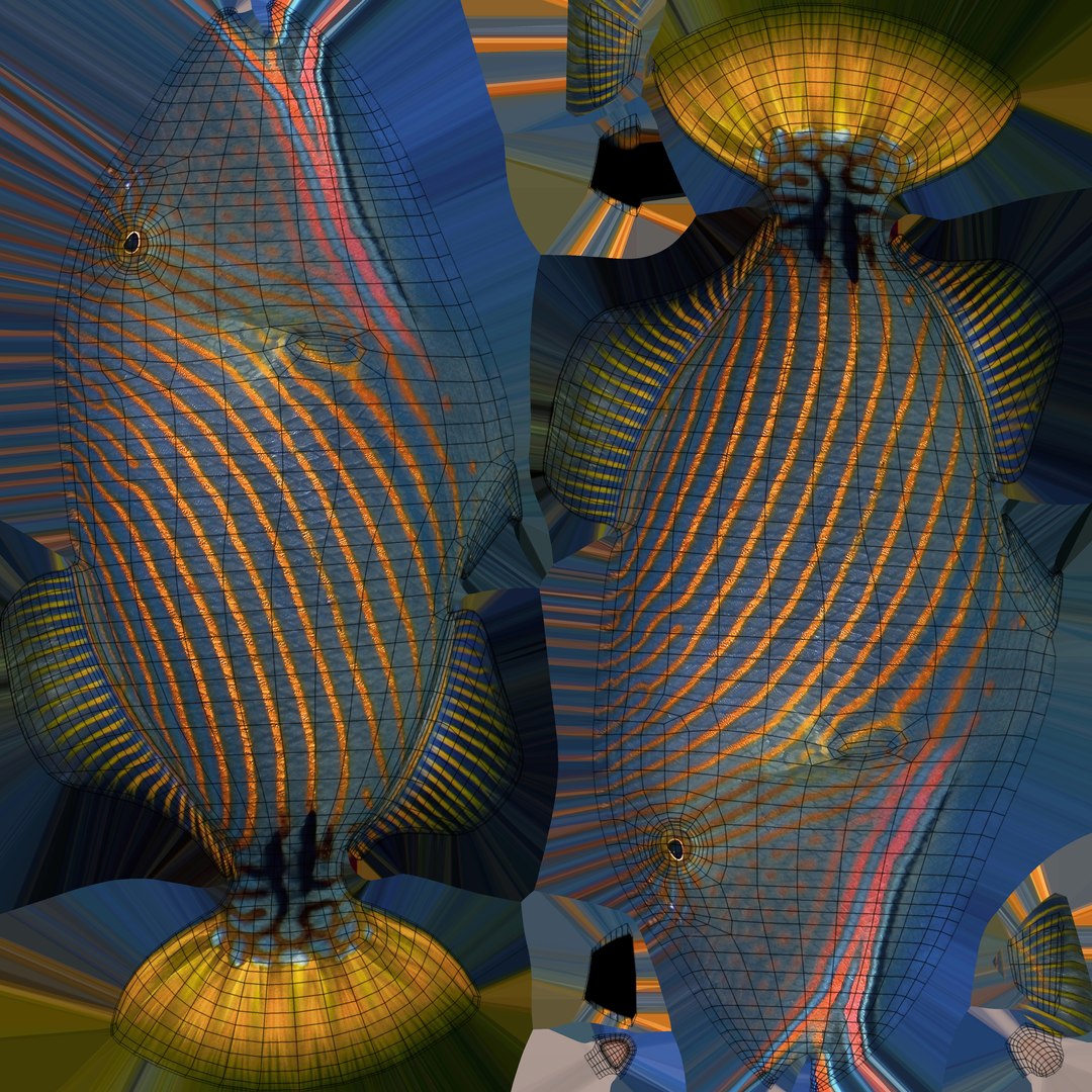 Undulate Triggerfish 3D Model - TurboSquid 1203585