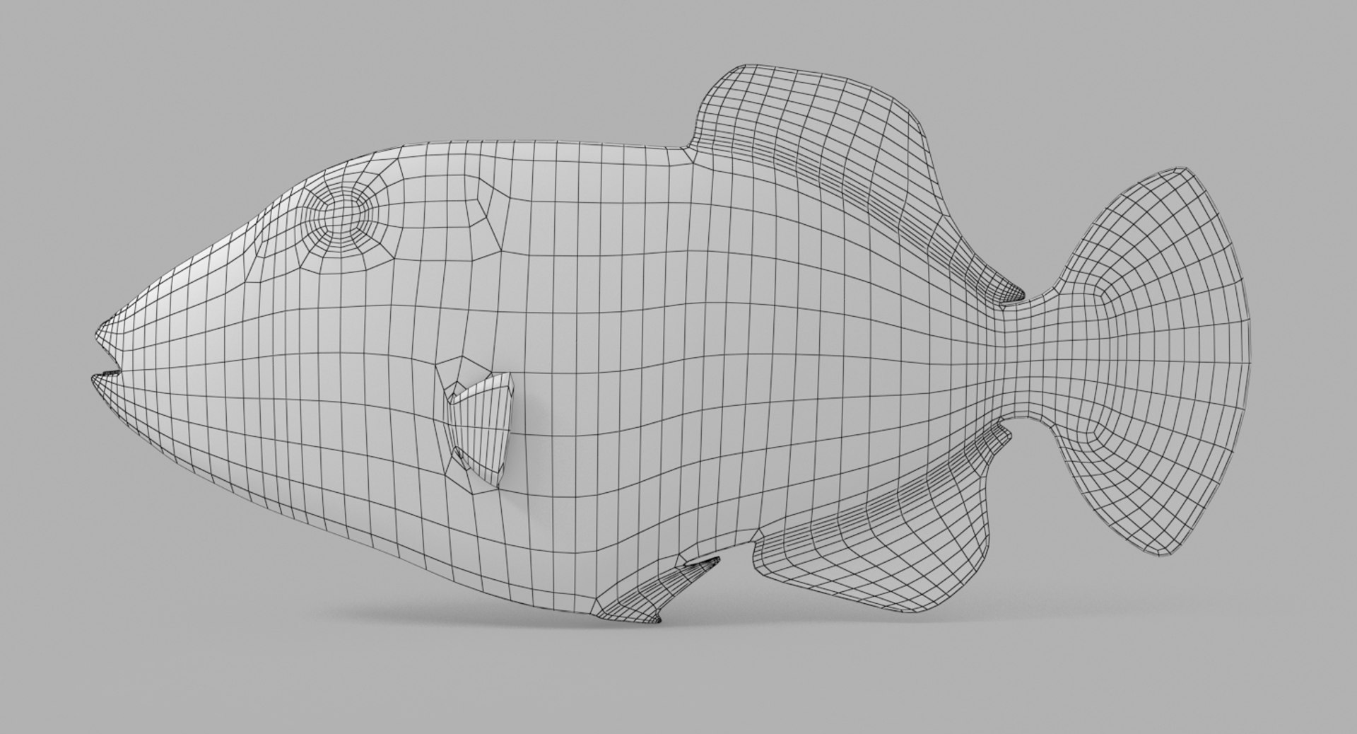 Undulate Triggerfish 3D Model - TurboSquid 1203585